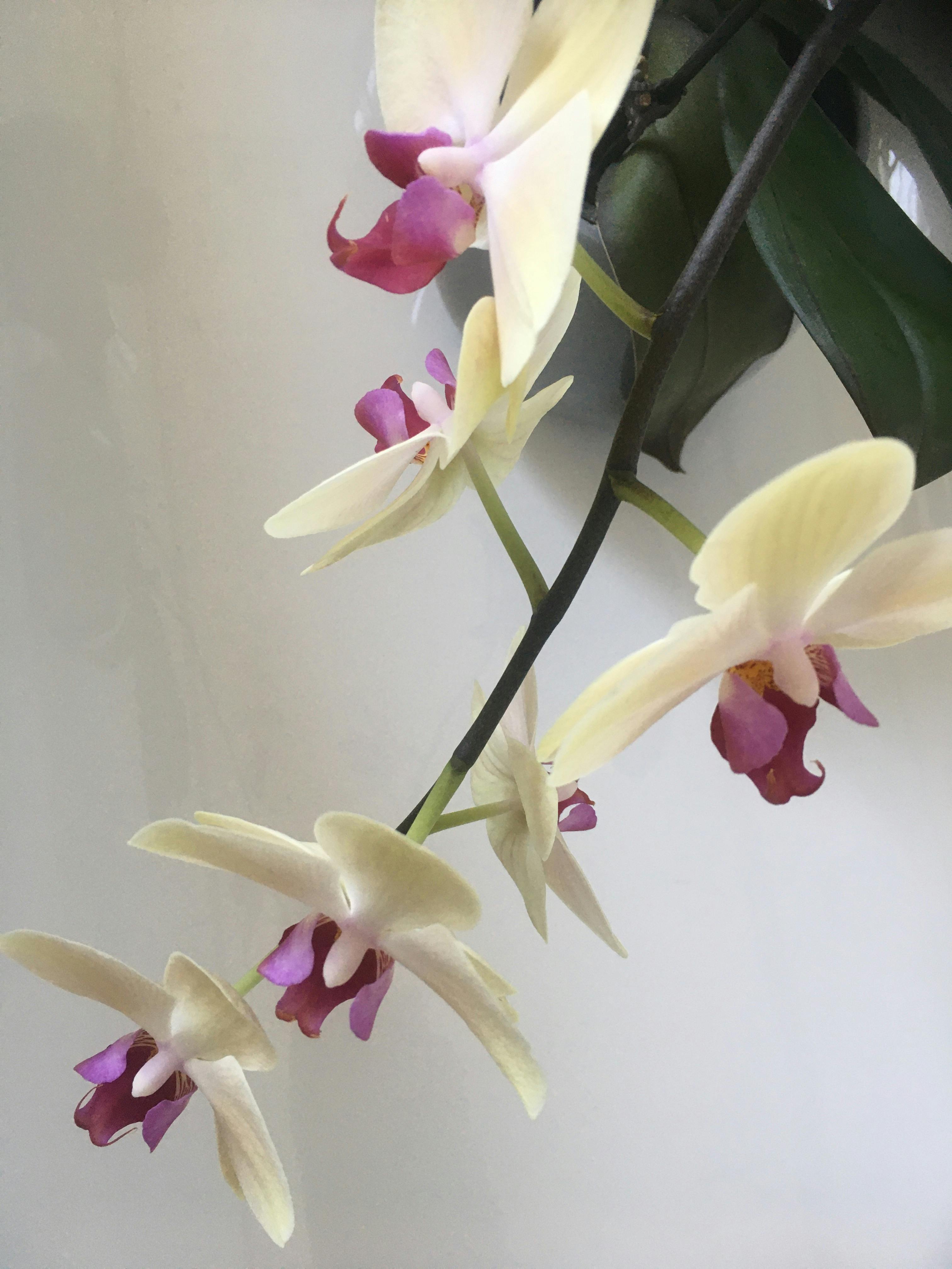 3 fotos y vídeos de Collection guardados por Amajuba Indlu-Inceku