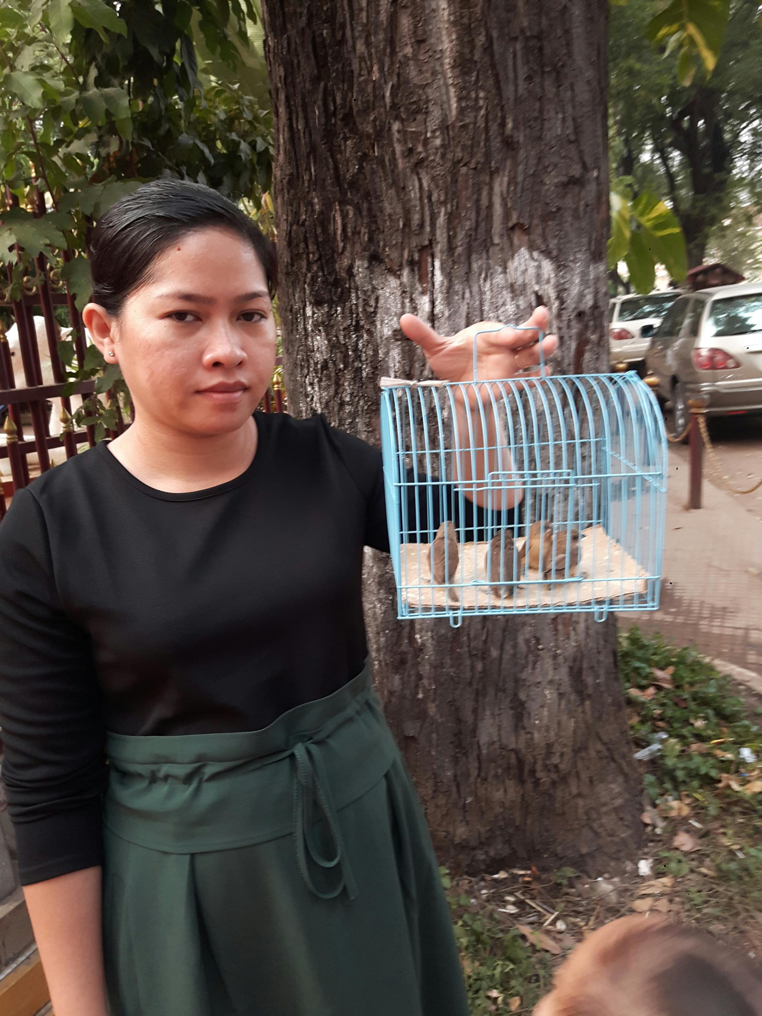 Trip 1 14 Photos & Videos Collected by Ung Sun Seng