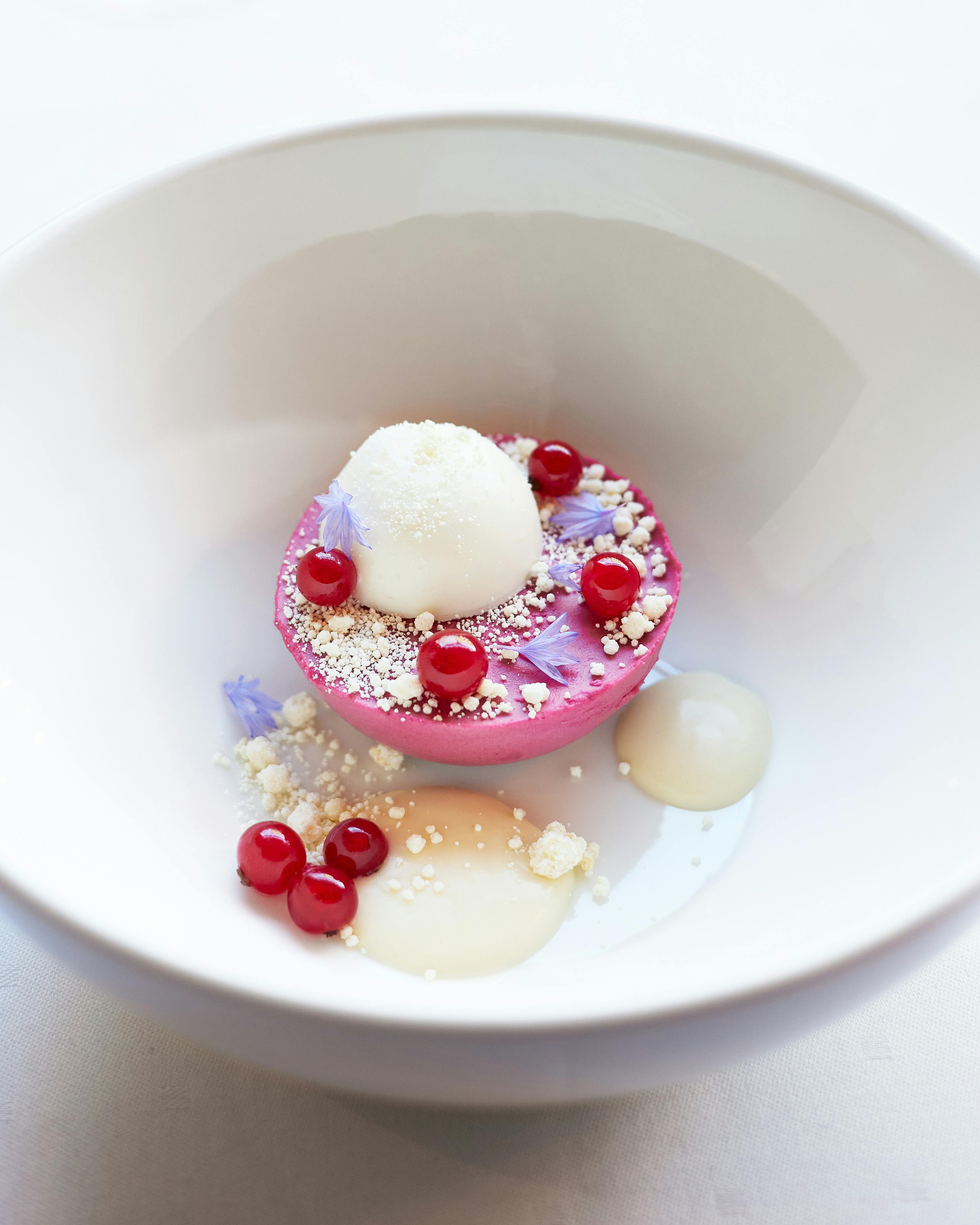 Vanilla Ice Cream with Red Currant on Plate · Free Stock Photo