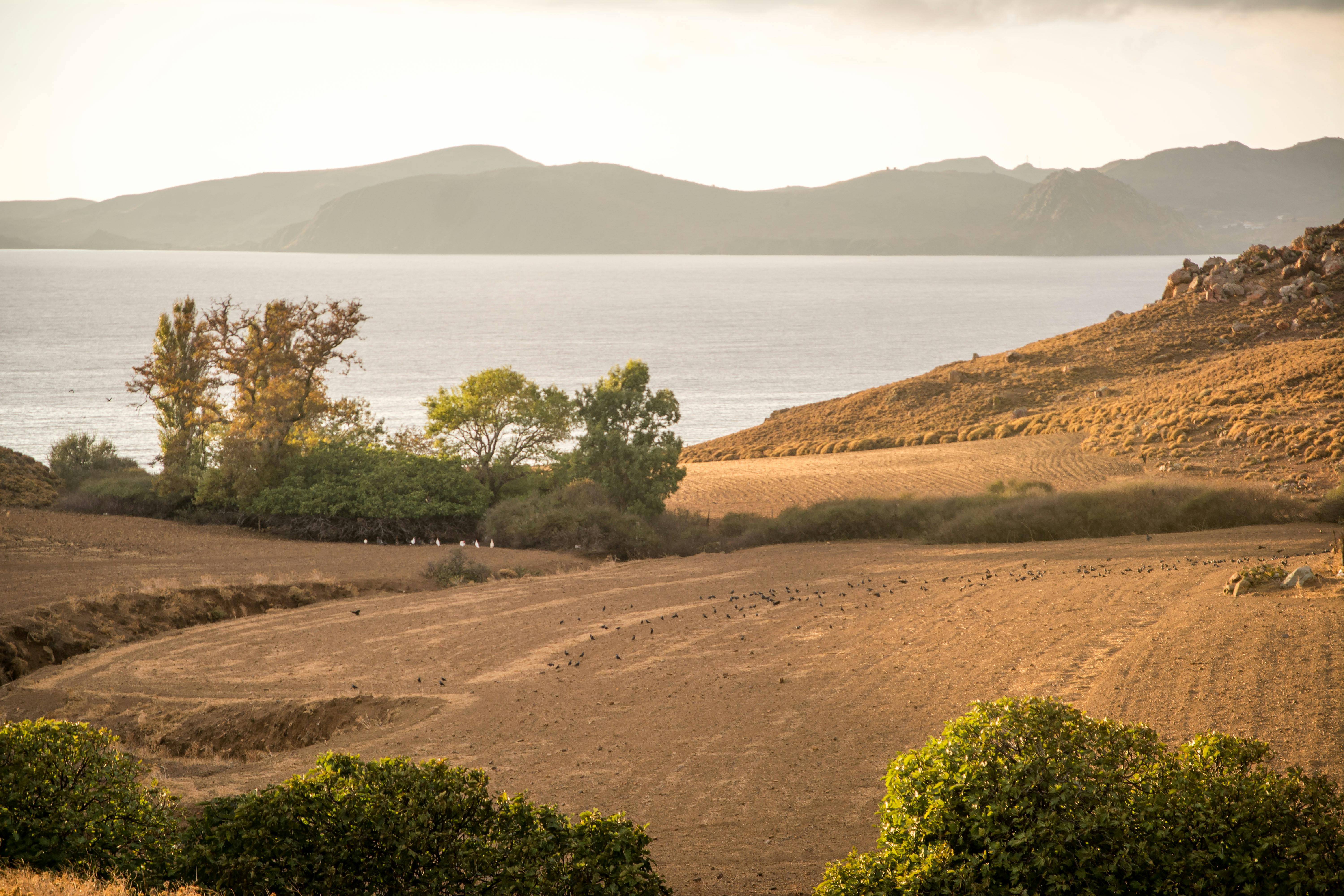 Field by the Lake · Free Stock Photo
