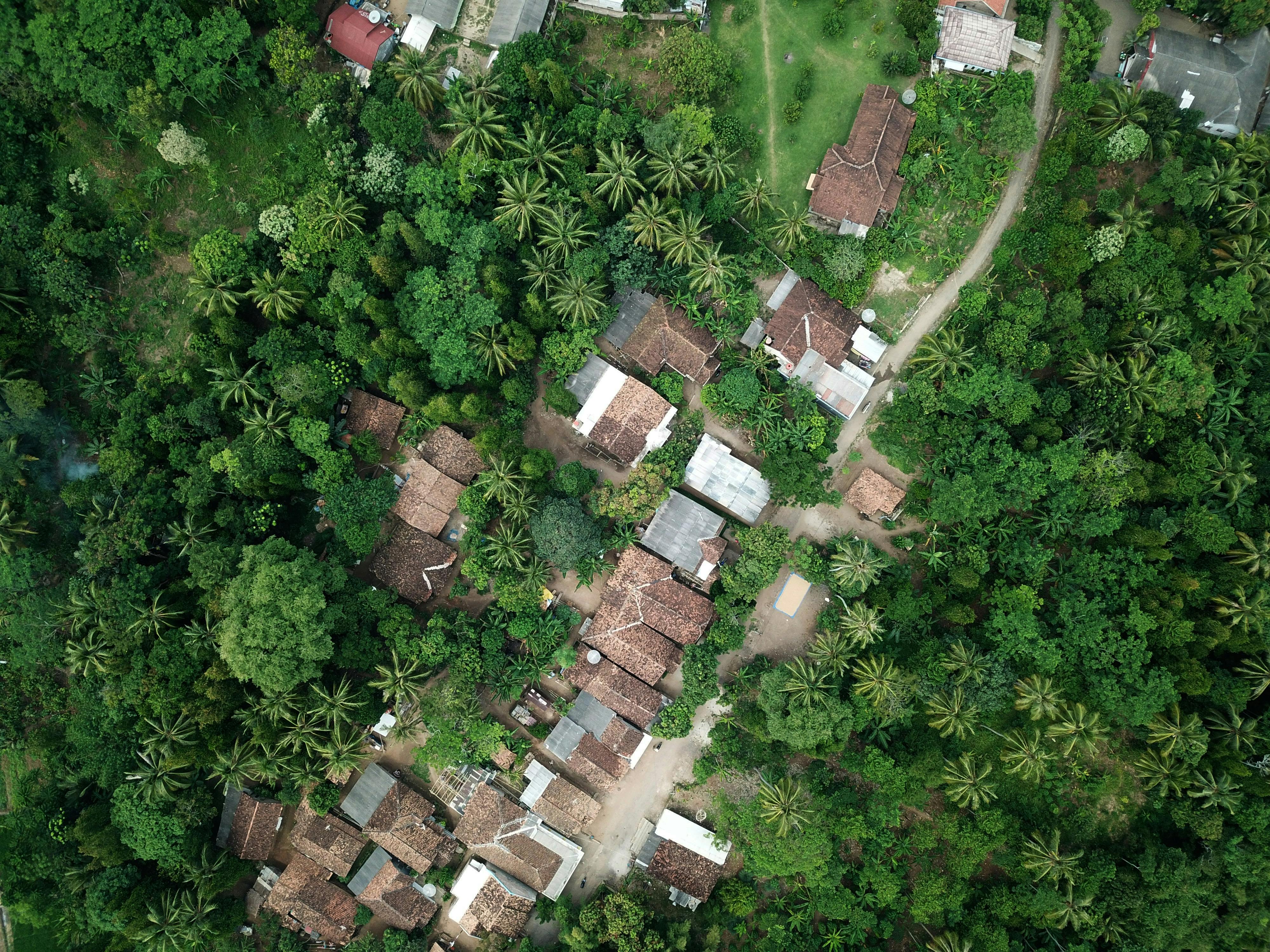 Aerial View of Sheds · Free Stock Photo