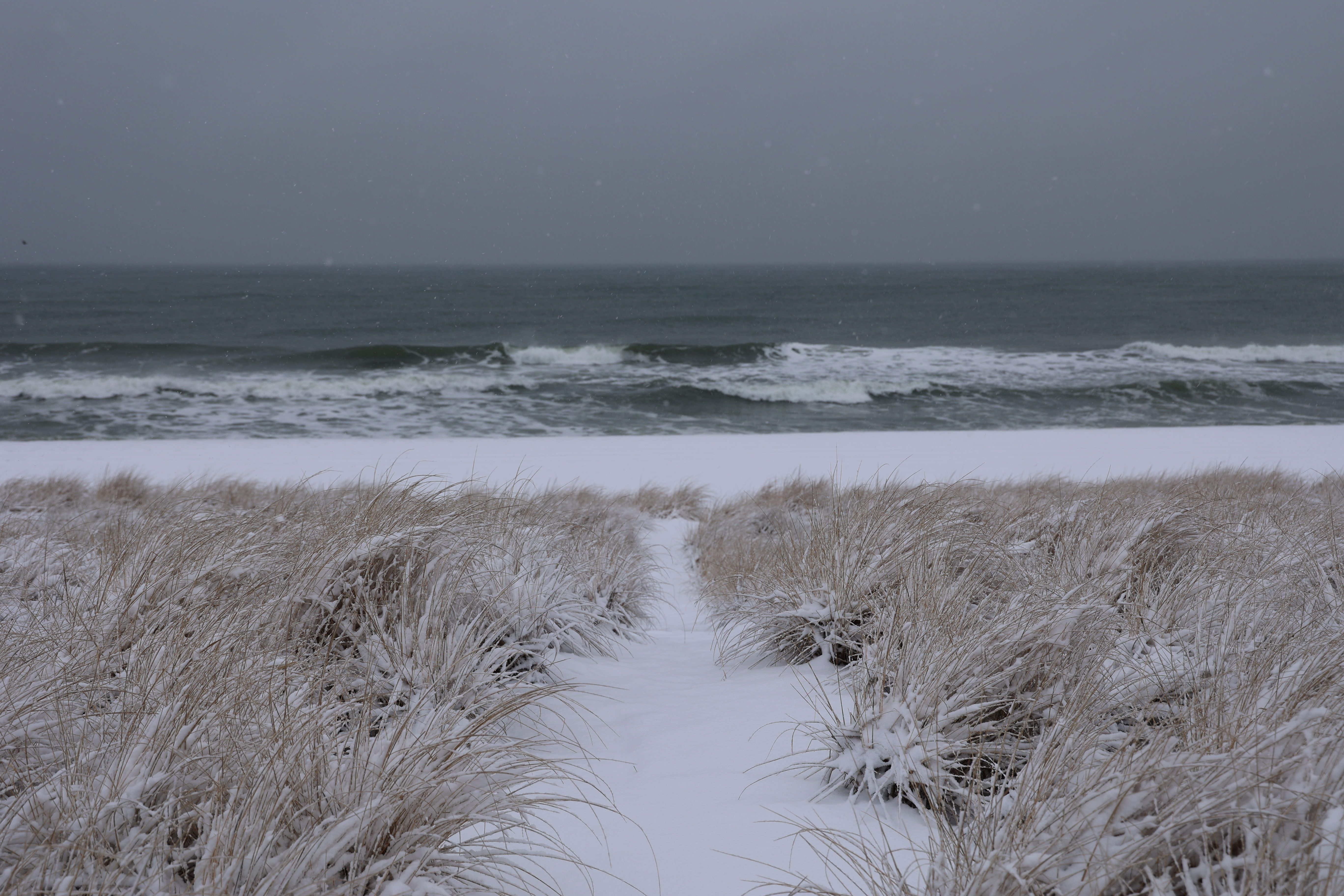 A Snow-Covered Field near the Beach · Free Stock Photo