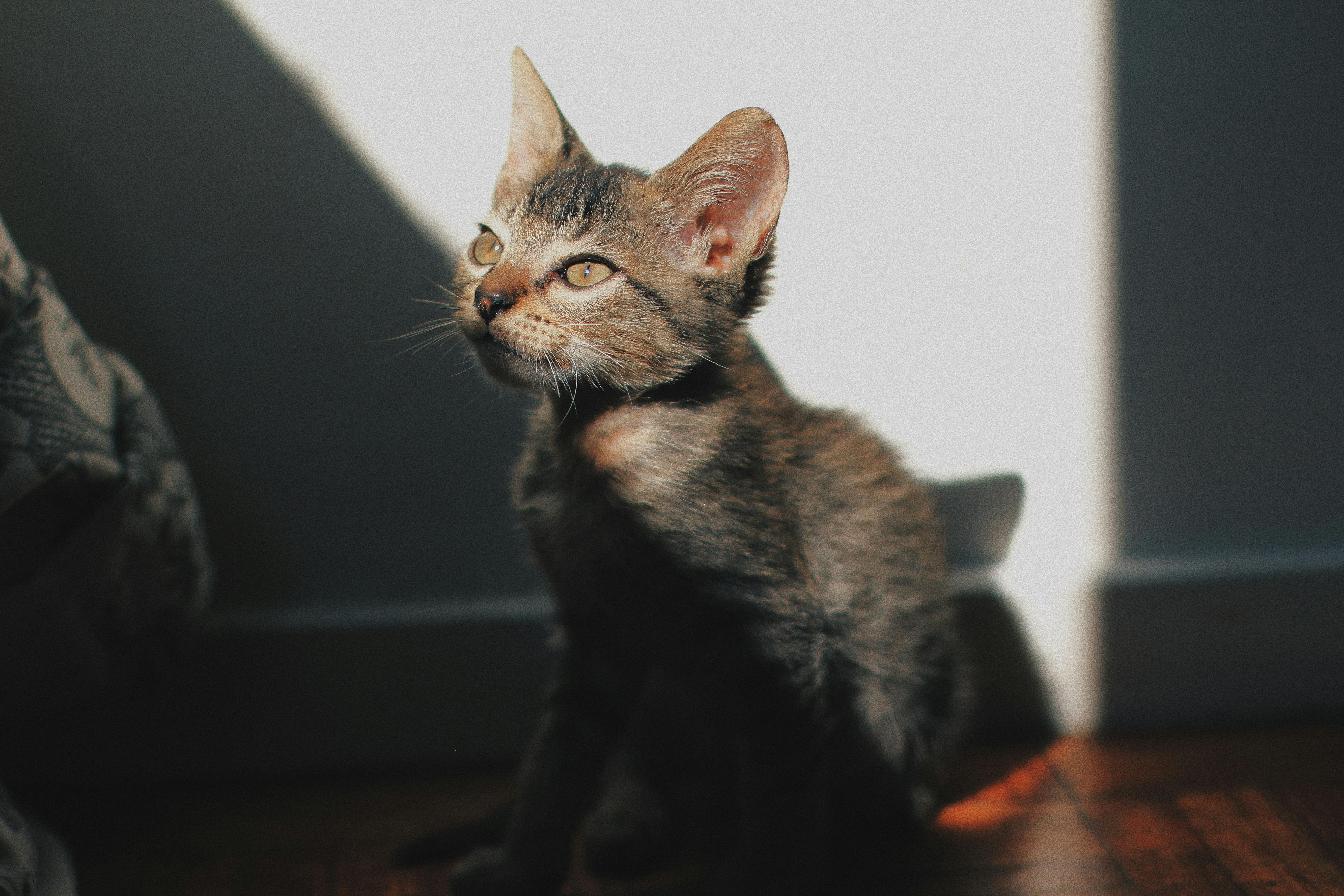 Vickie Intili - Photography