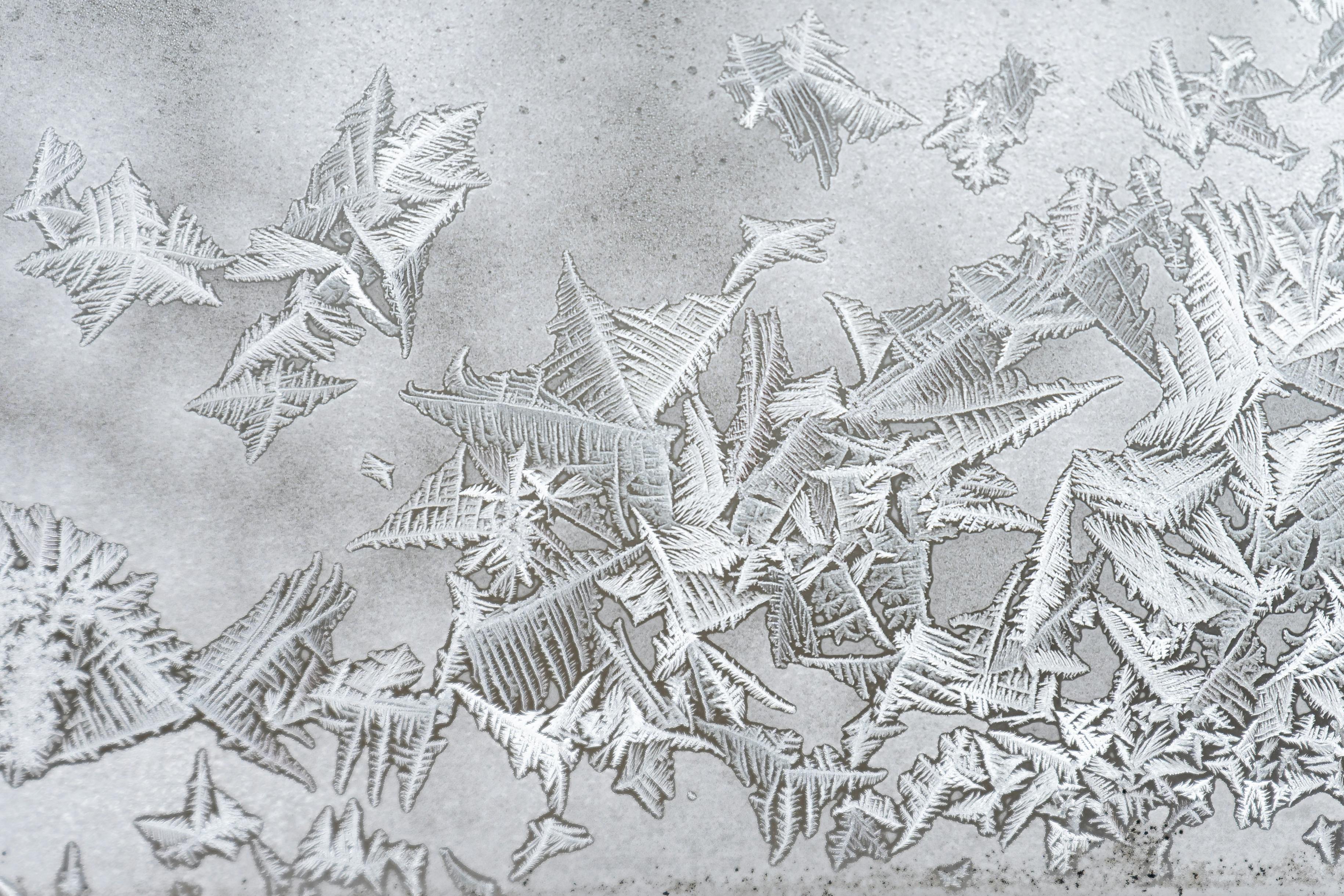 Frost on a Wall · Free Stock Photo