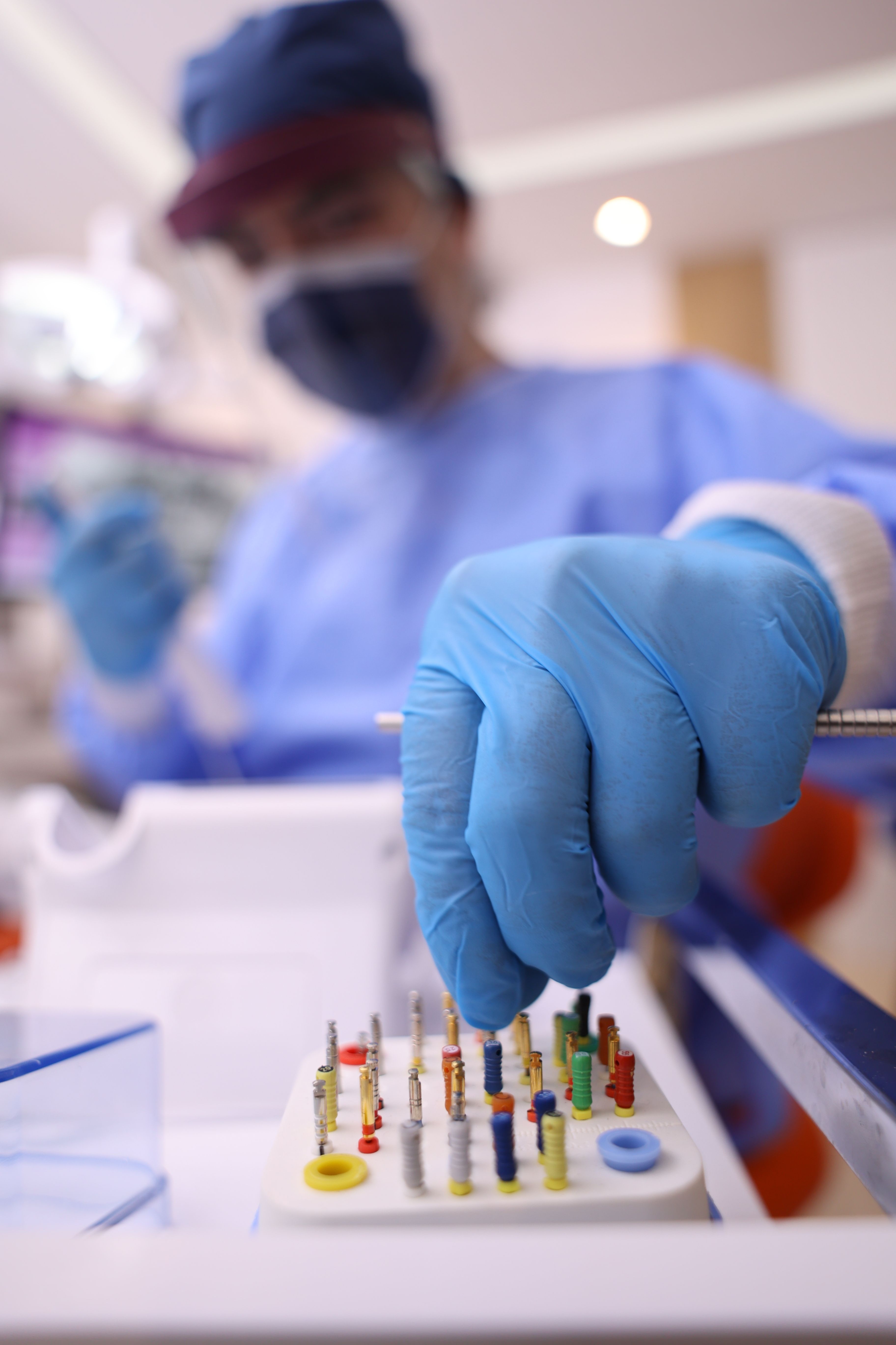 Lab Lab Meloncat Photos, Download Free Lab Lab Meloncat Stock Photos ...