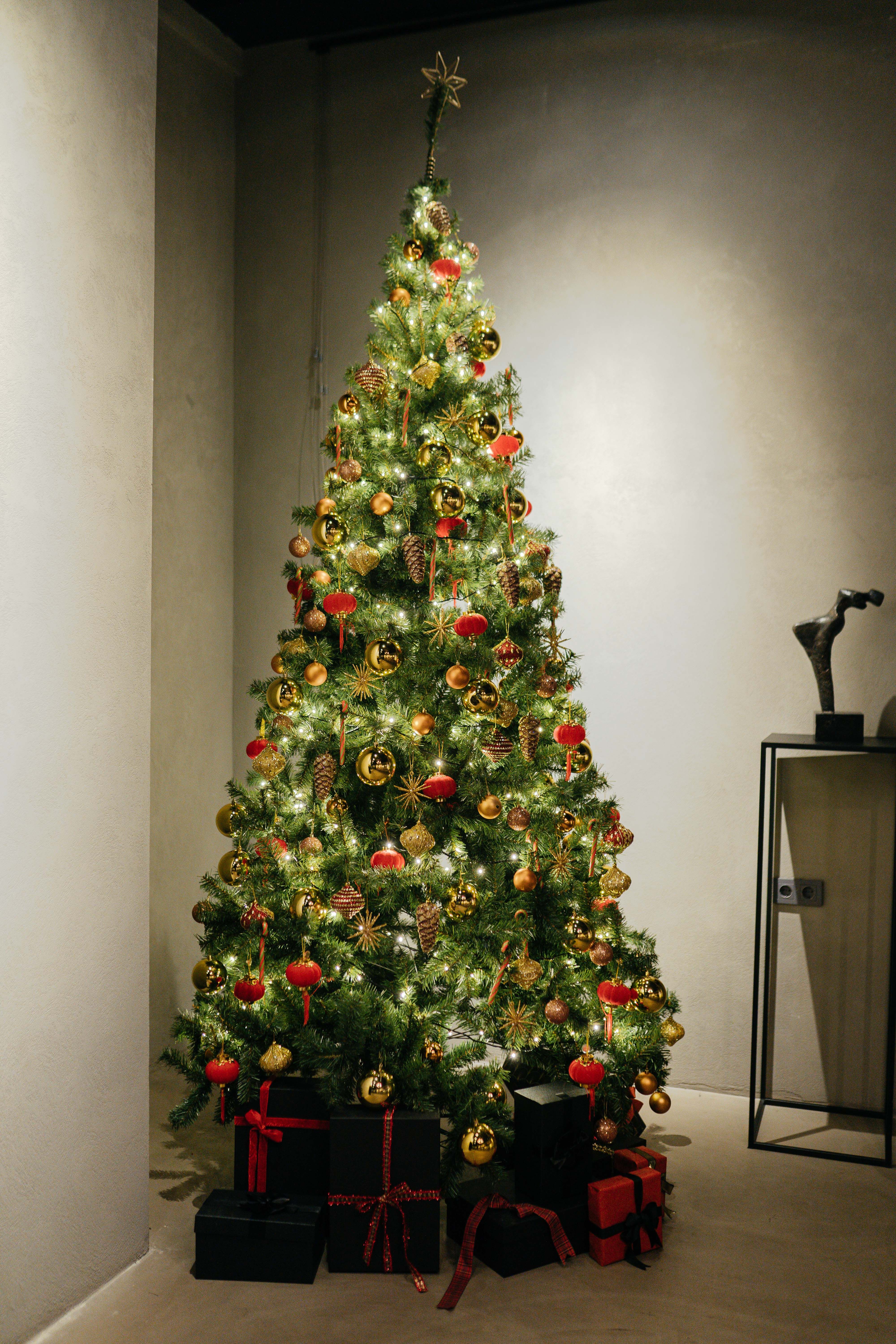 A Beautiful Christmas Tree · Free Stock Photo