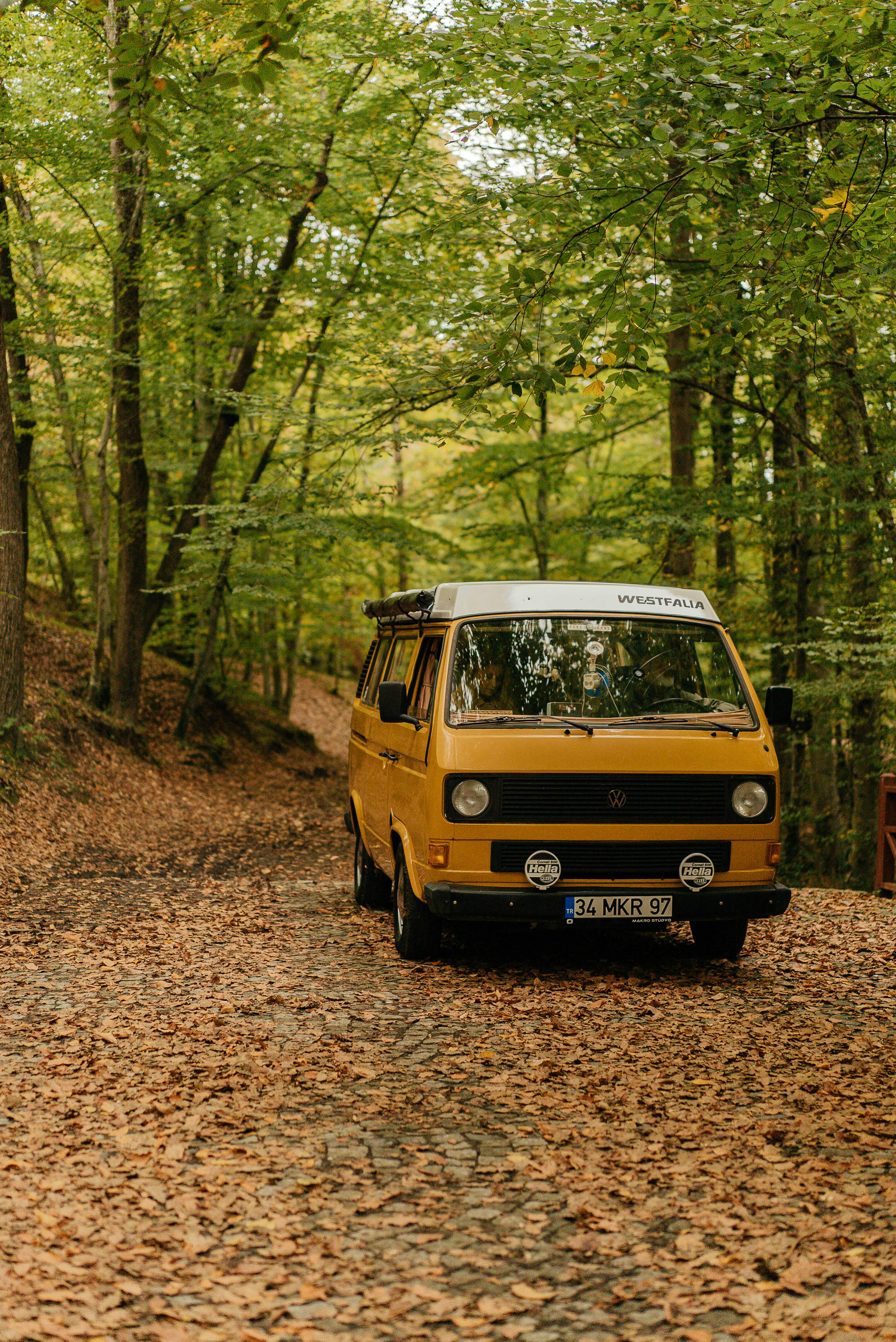 A Yellow Van in the Forest · Free Stock Photo