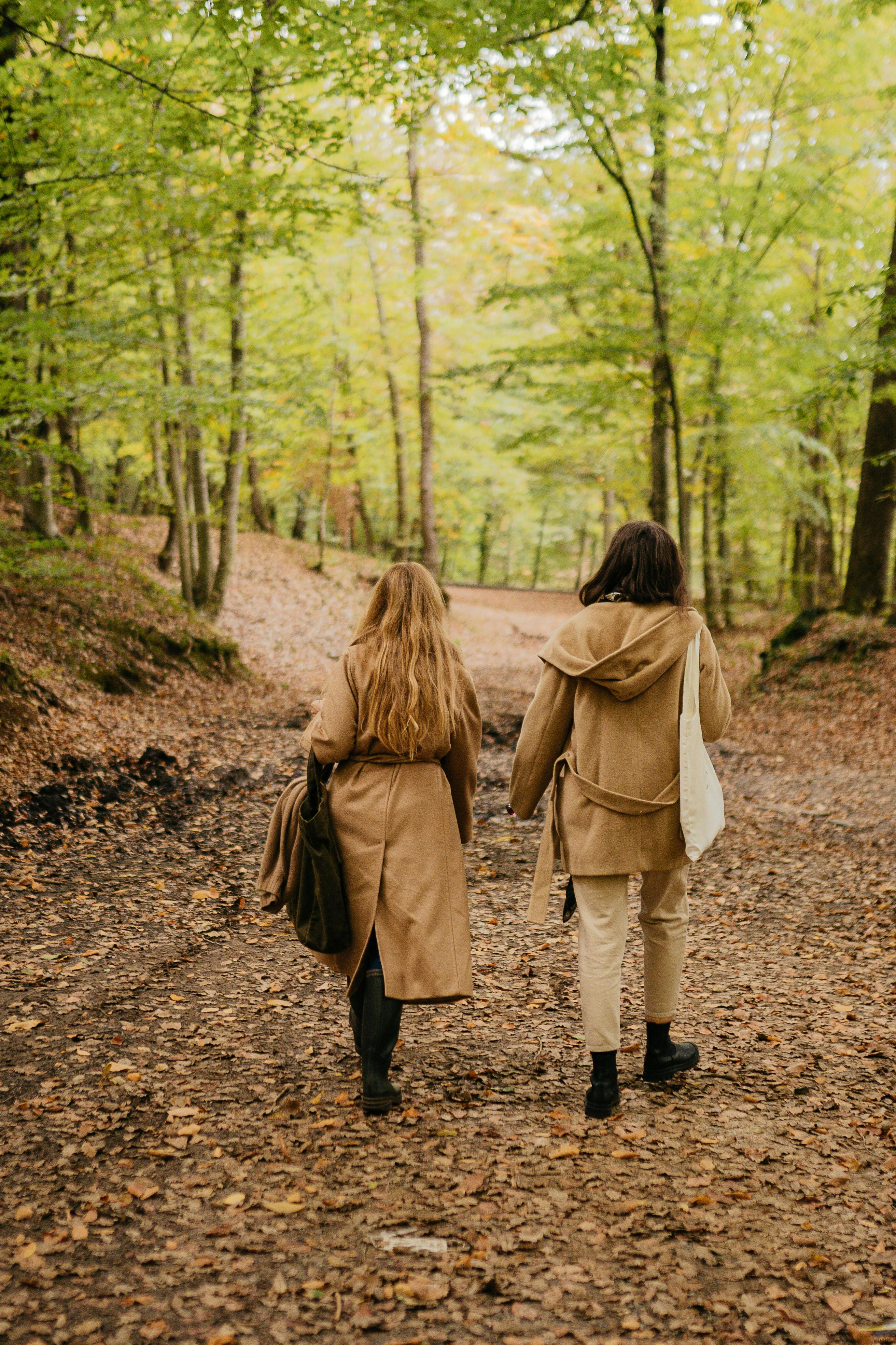 Women Walking in Forest · Free Stock Photo