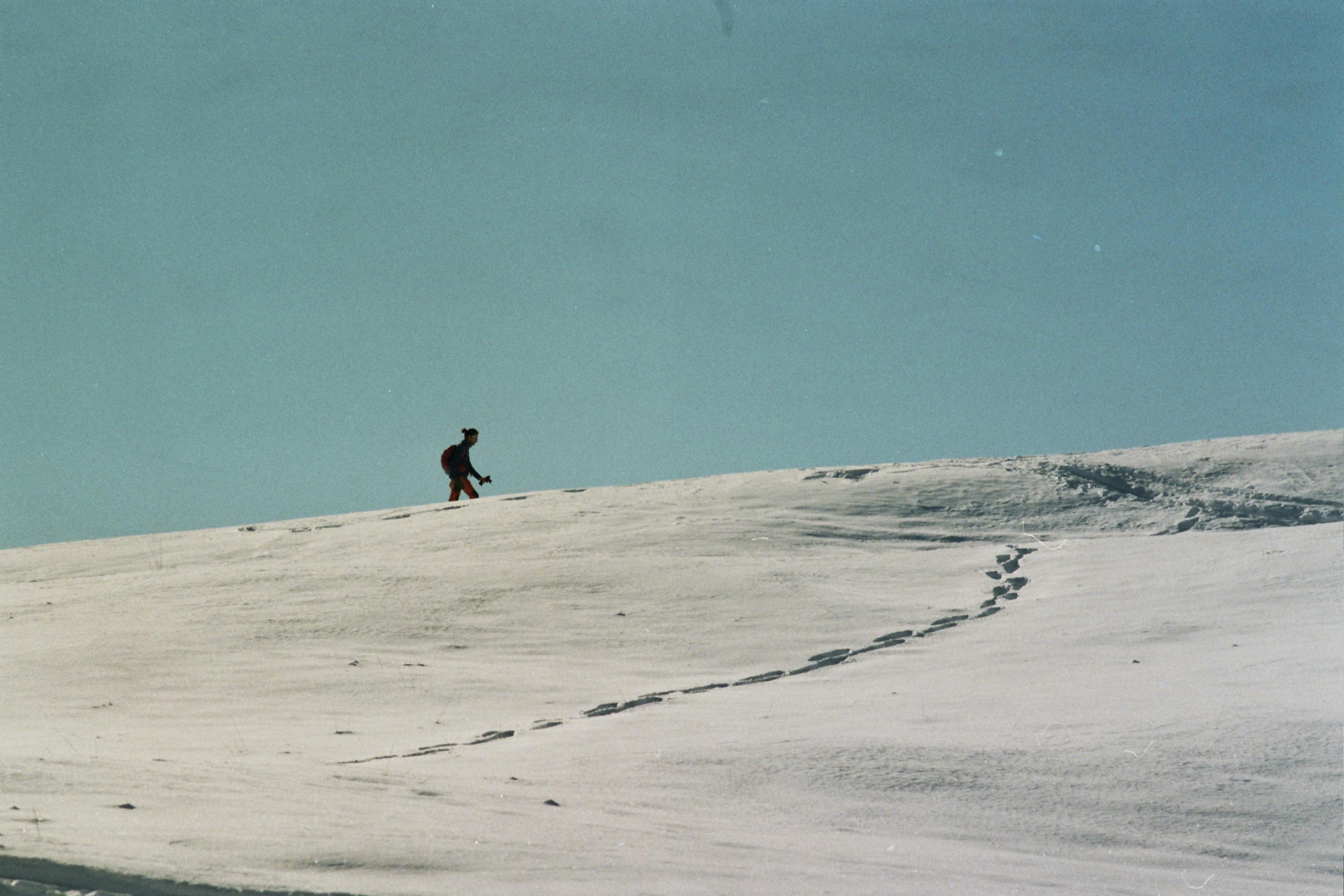 Footsteps Snow Photos, Download The BEST Free Footsteps Snow Stock ...