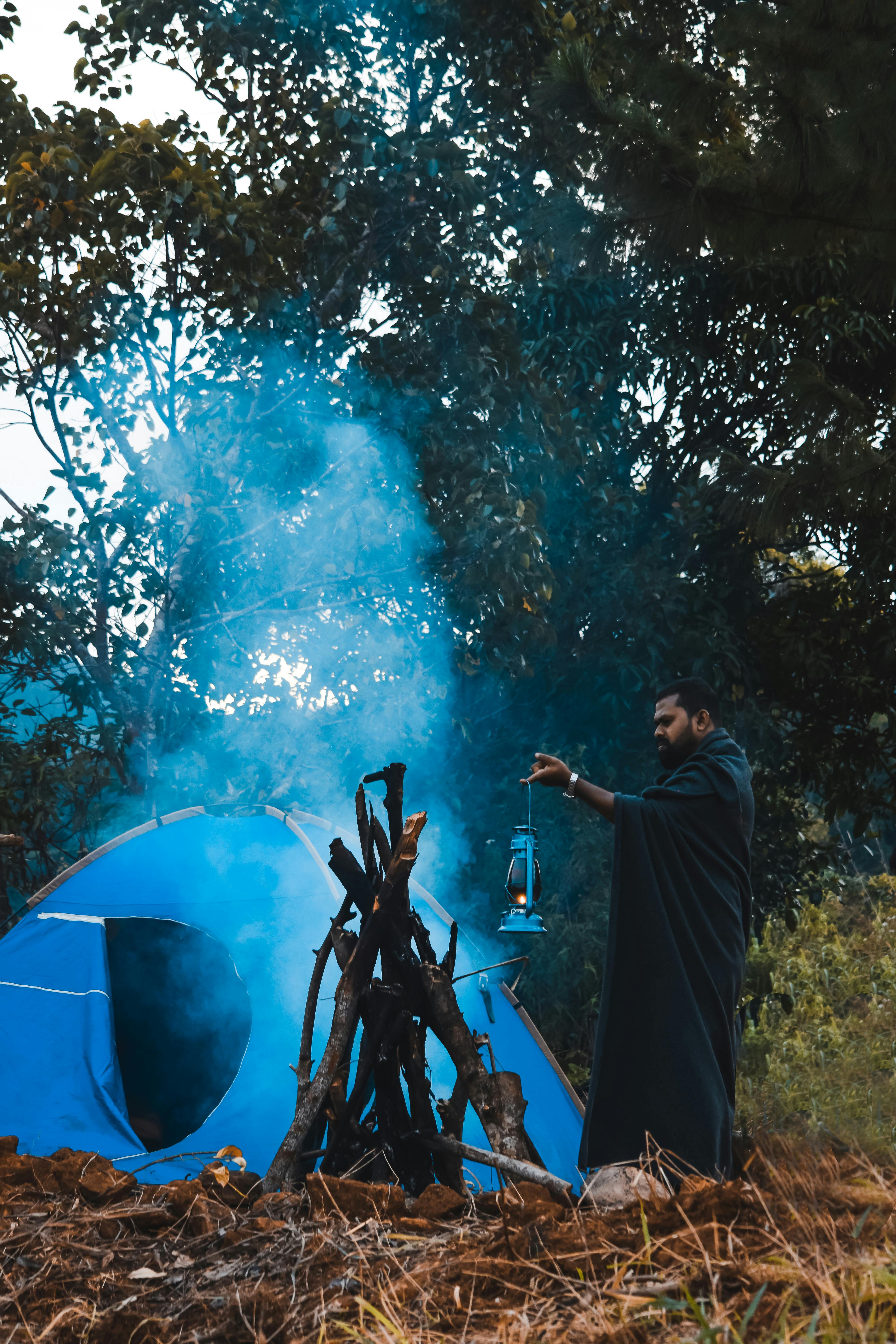 Castor Oil Trees Photos, Download The BEST Free Castor Oil Trees Stock ...