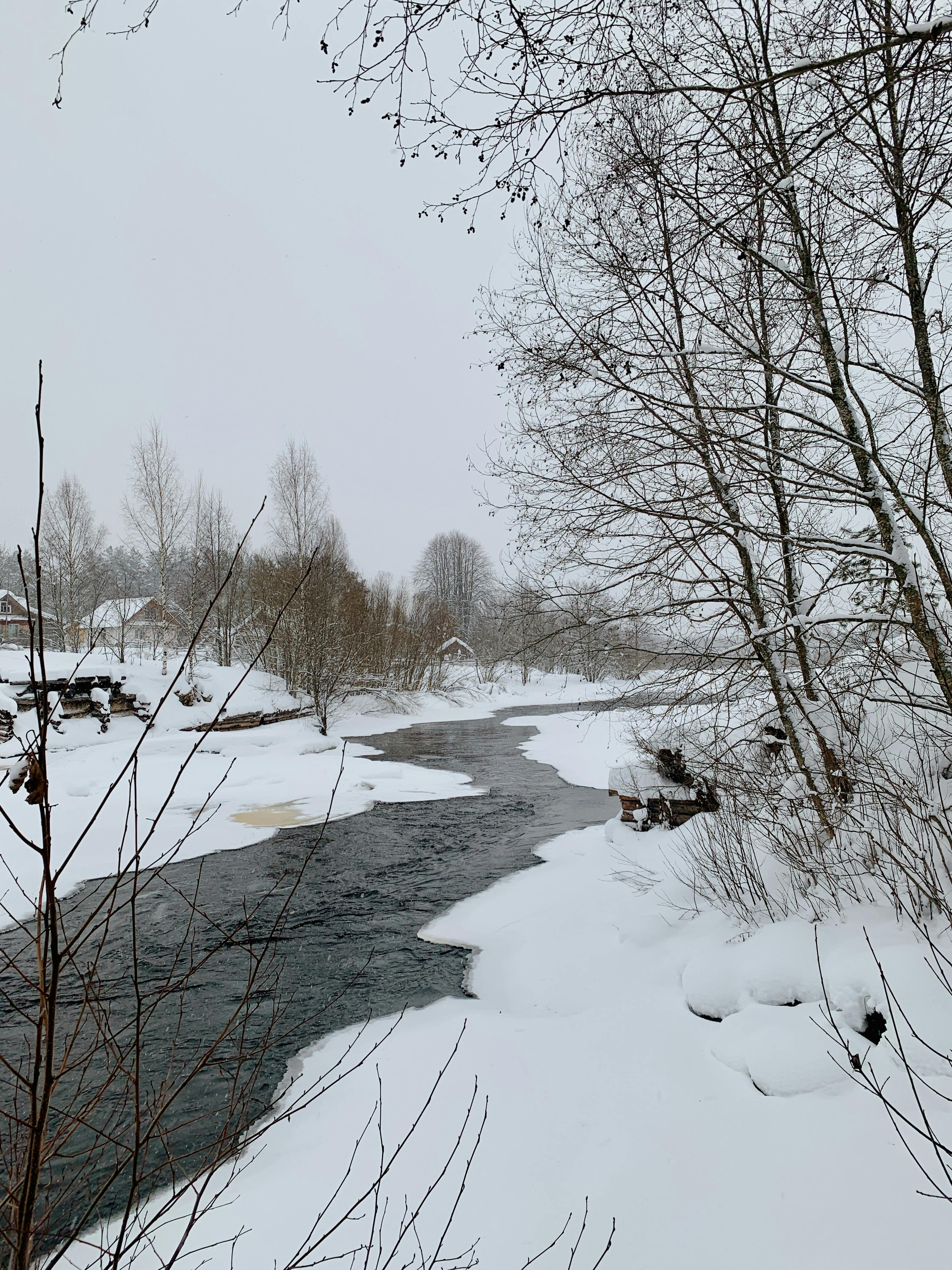 A Woman Swimming in an Infinity Pool During Winter · Free Stock Photo