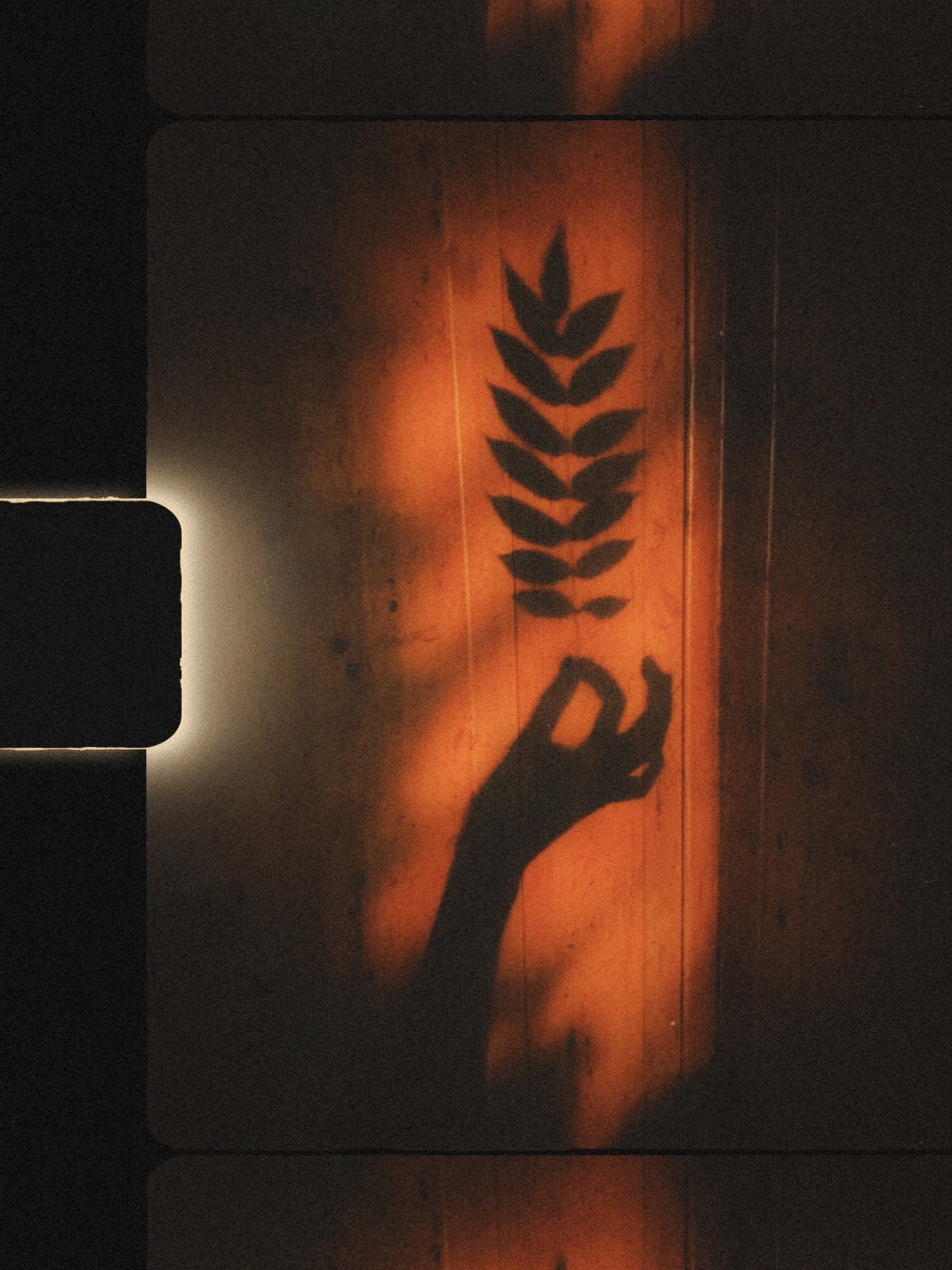 400,000+ Best Shadow People Photos · 100% Free Download · Pexels Stock ...