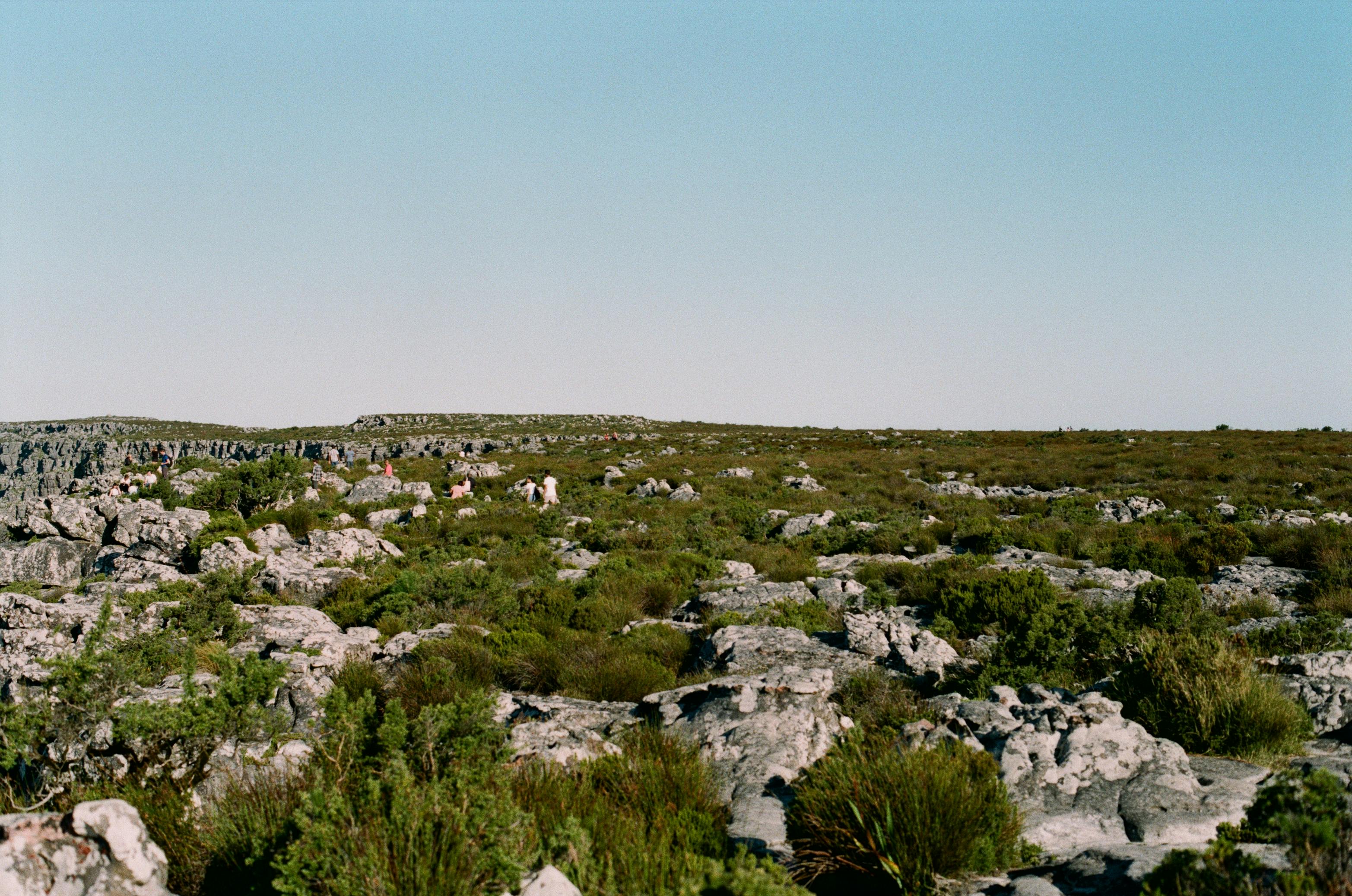 Grass Growth on Rocks Formation · Free Stock Photo