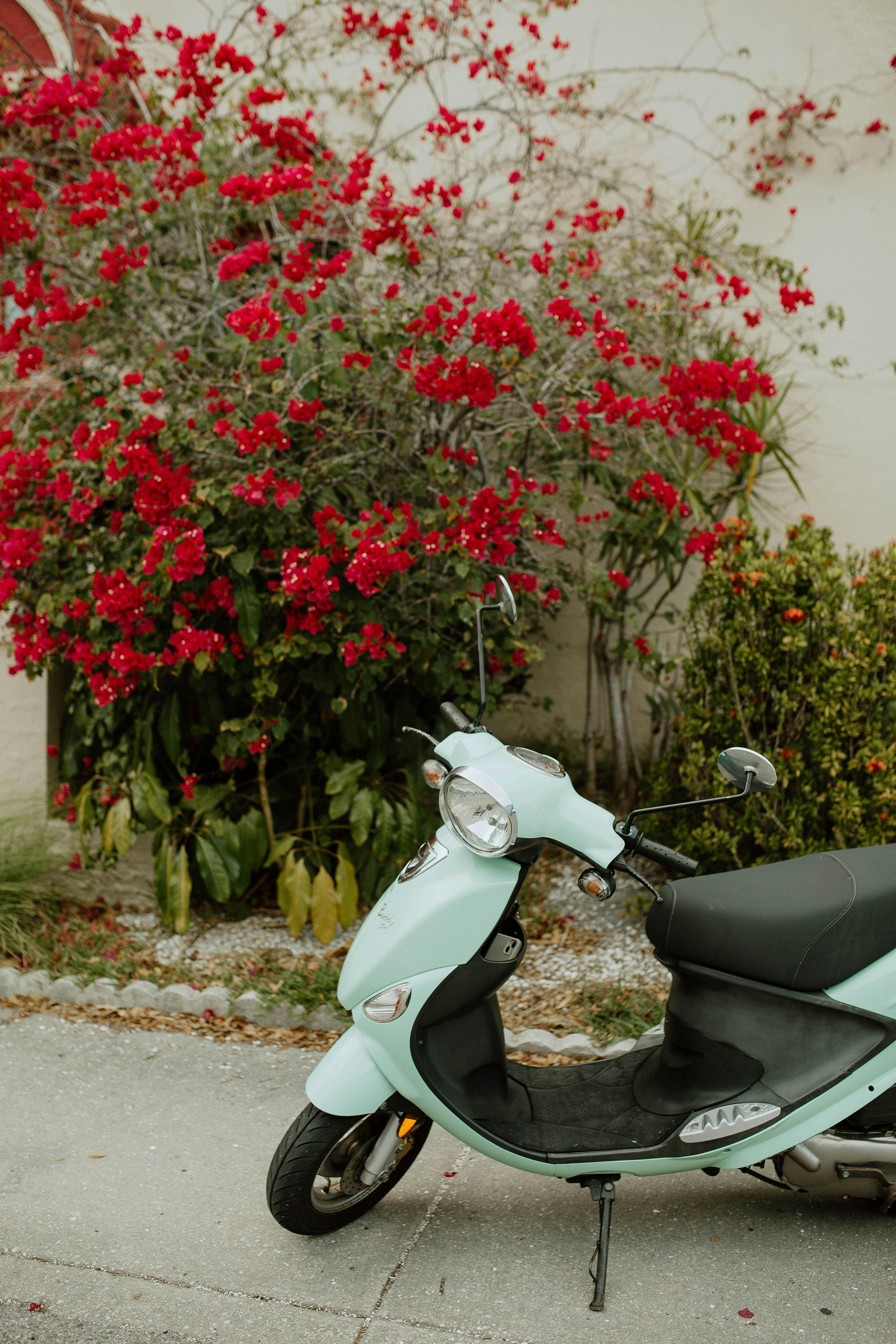 Sarasota Florida Red Bug Slough Photos, Download The BEST Free Sarasota ...