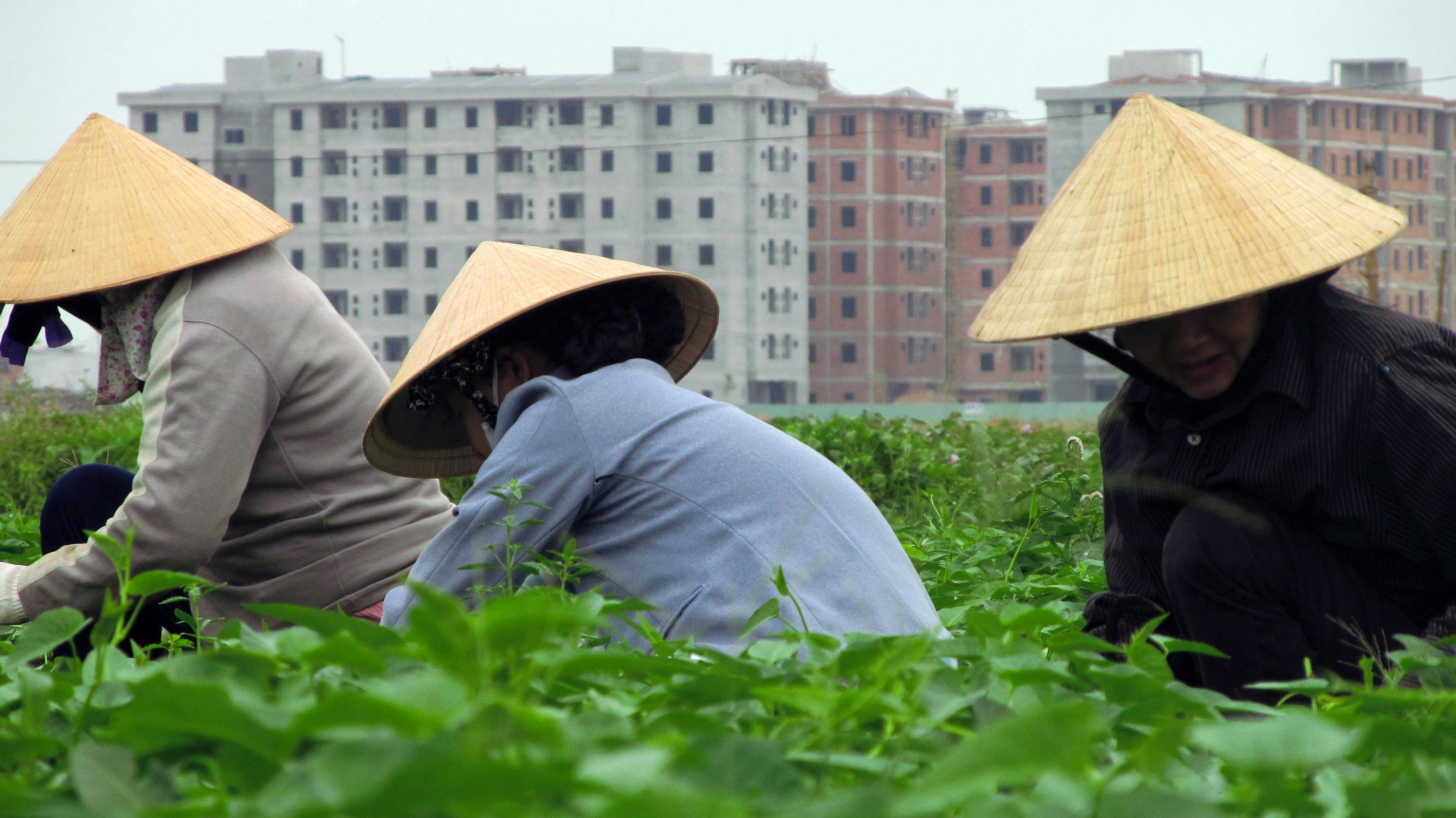 Khoi Tran - Photography