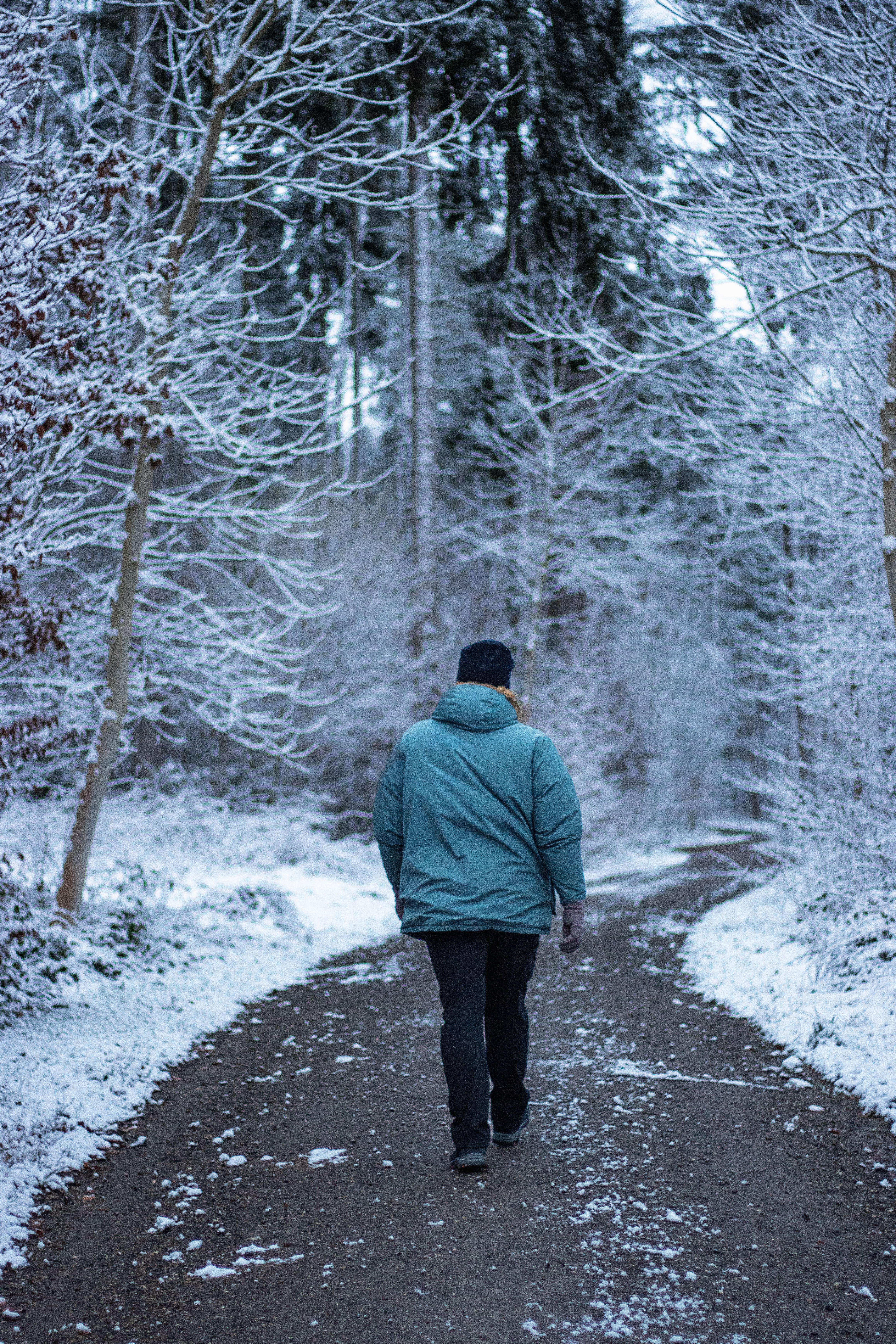 Man Walking Through a Forest in Winter · Free Stock Photo