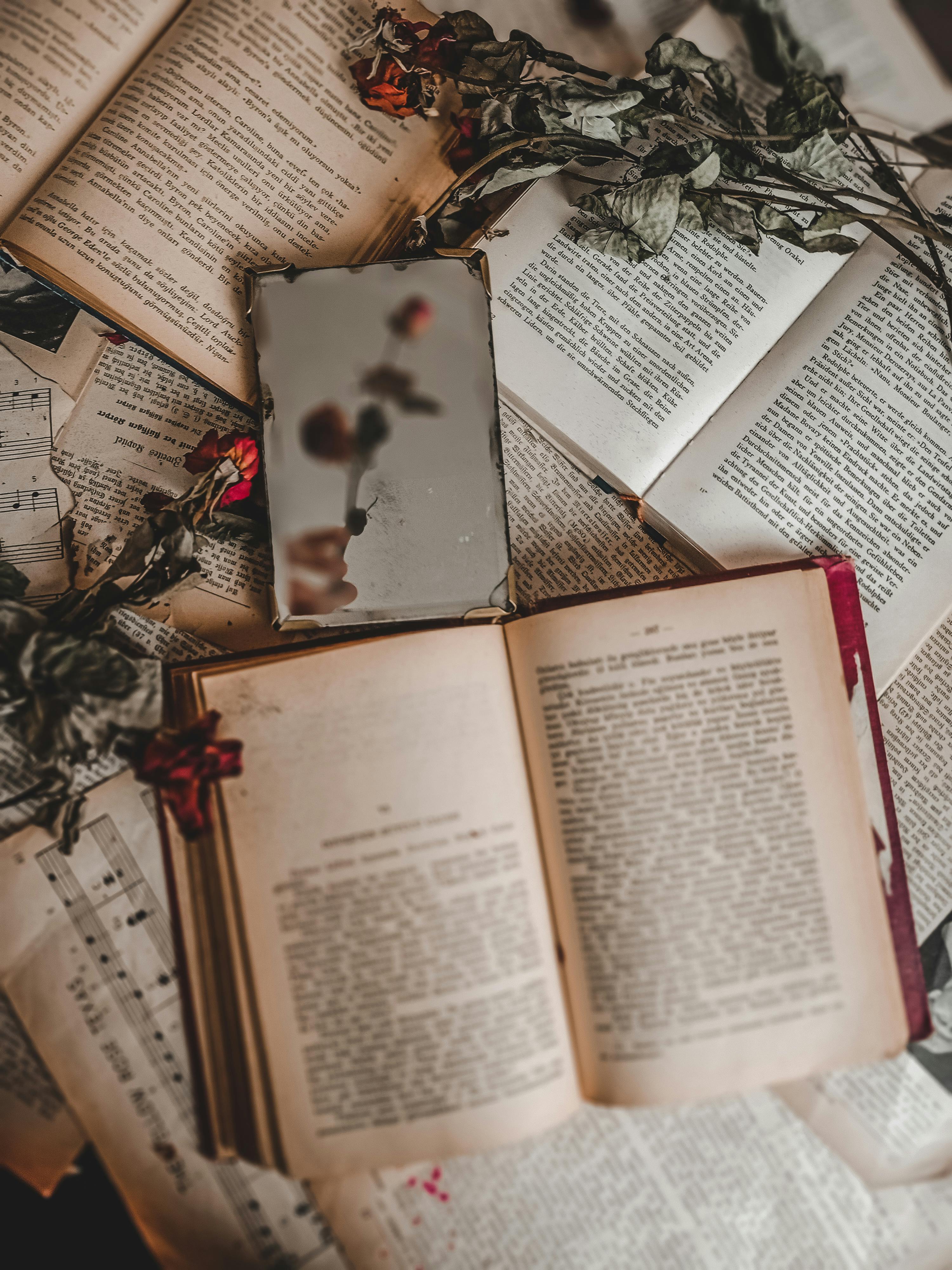 Photo Roses Photos, Download The BEST Free Photo Roses Stock Photos ...