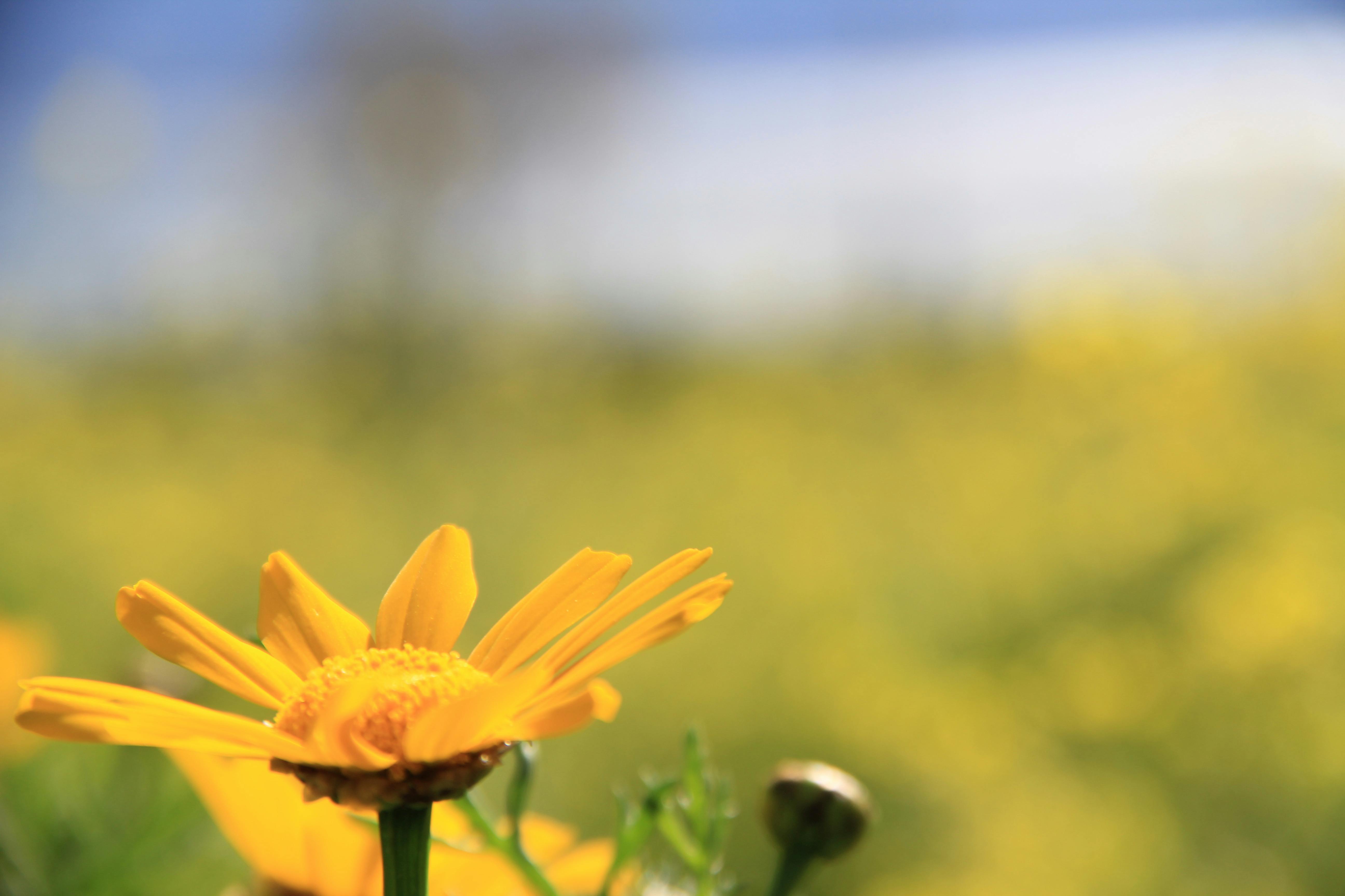 Manos Orfanos - Photography