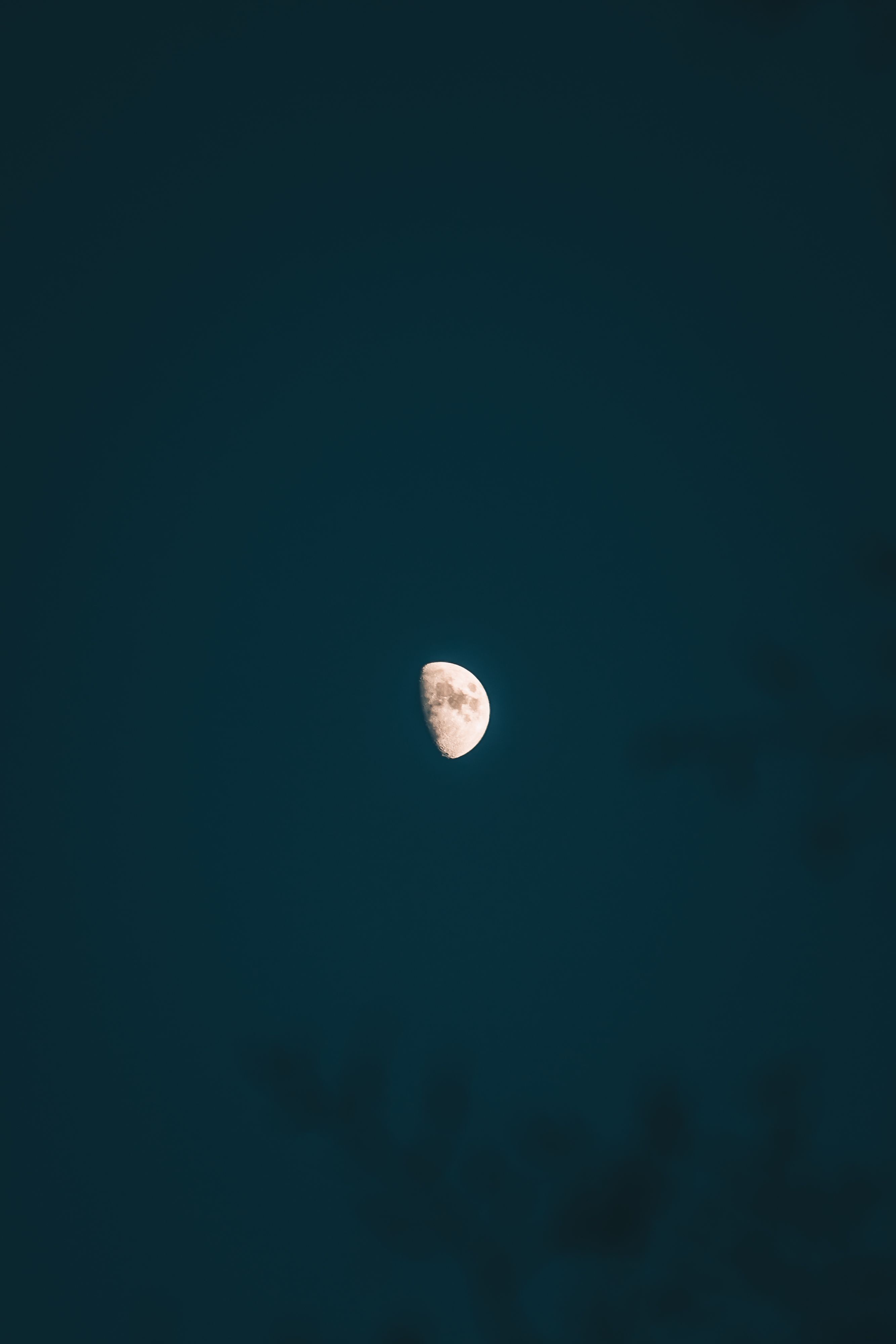 Half Moon View · Free Stock Photo
