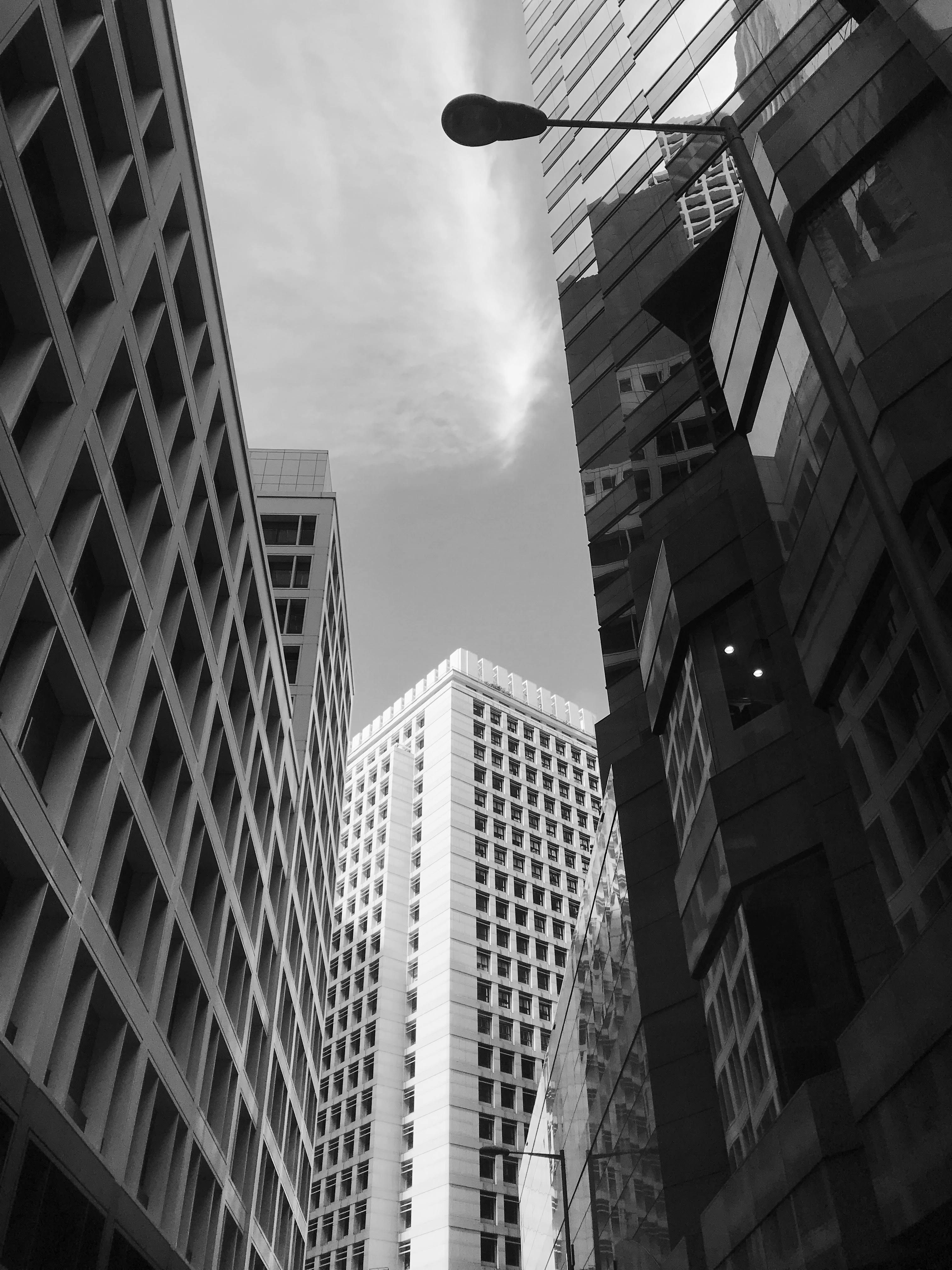 Grayscale Photo of High Rise Buildings · Free Stock Photo