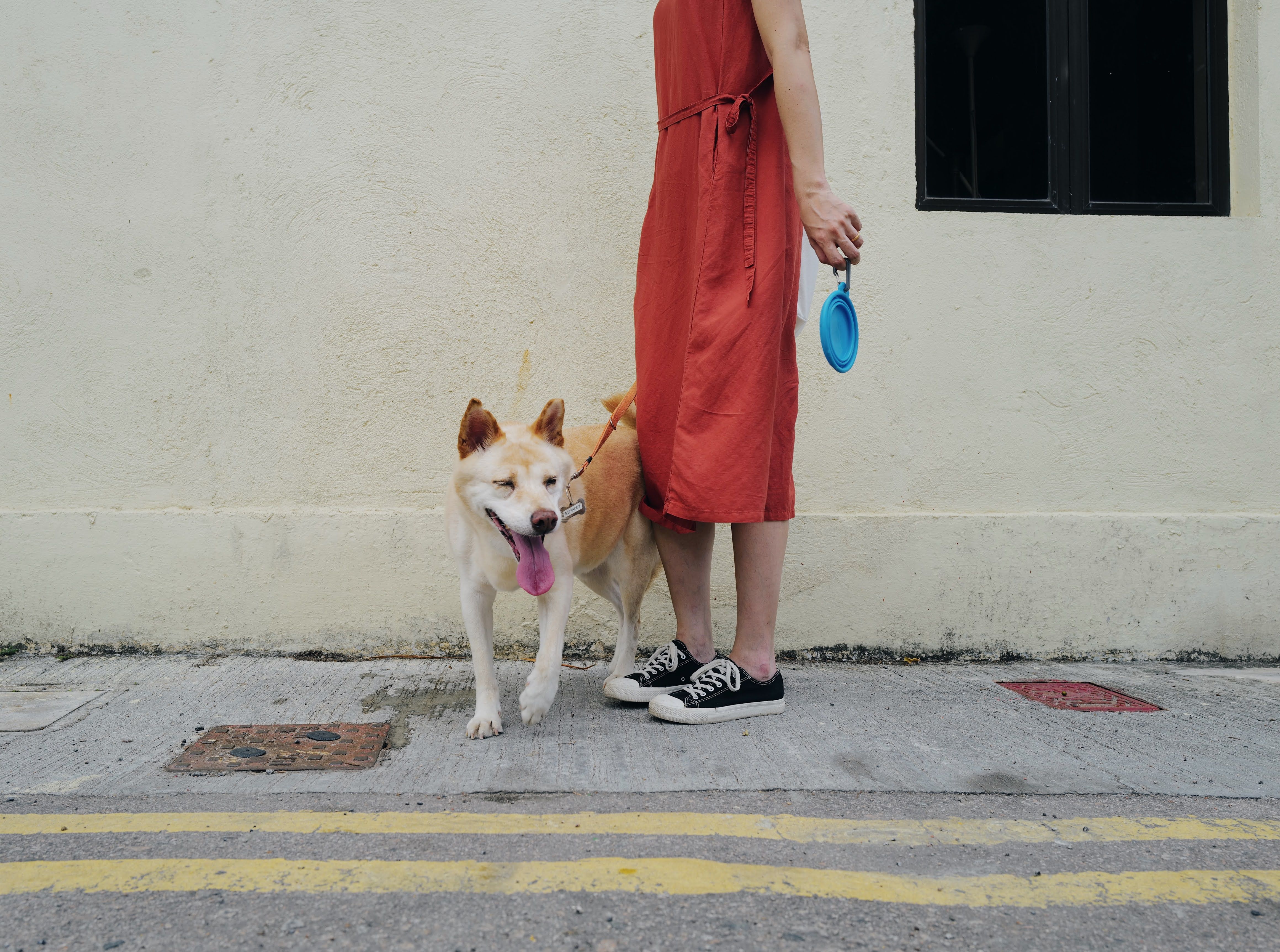 Woman with Her Pet Dogs Standing on the Corner of a Building · Free ...