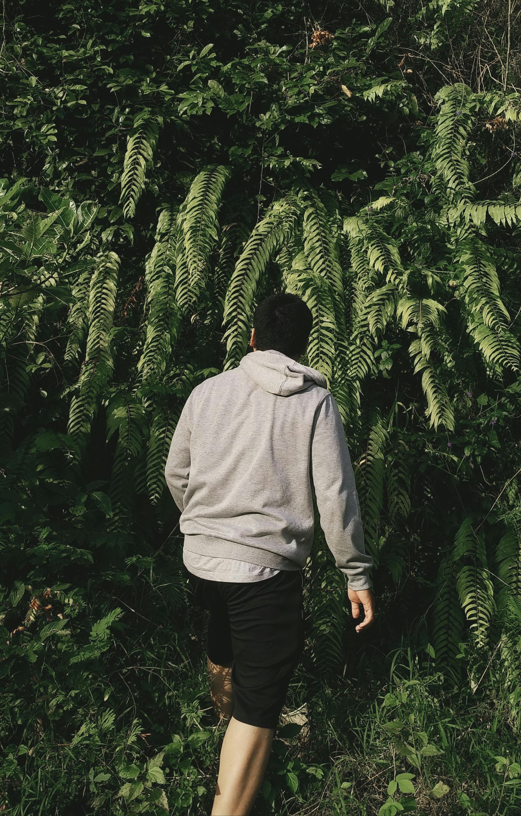 Man Carrying a Backpack · Free Stock Photo