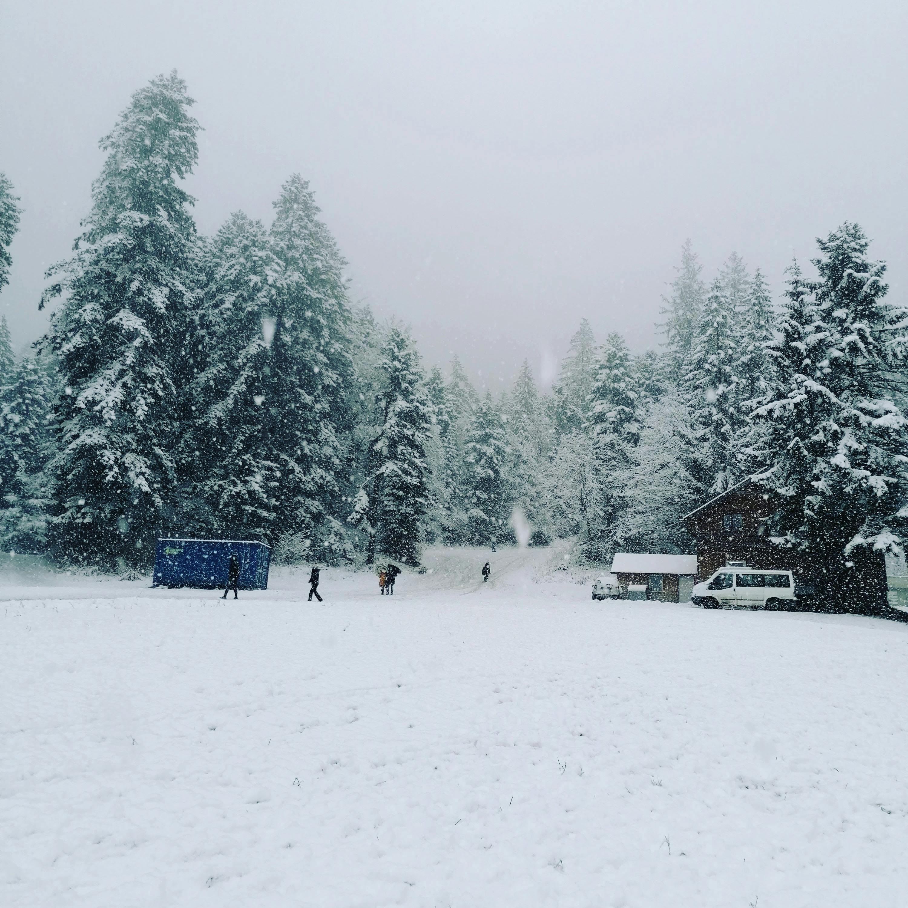 Florin Ivan - 写真