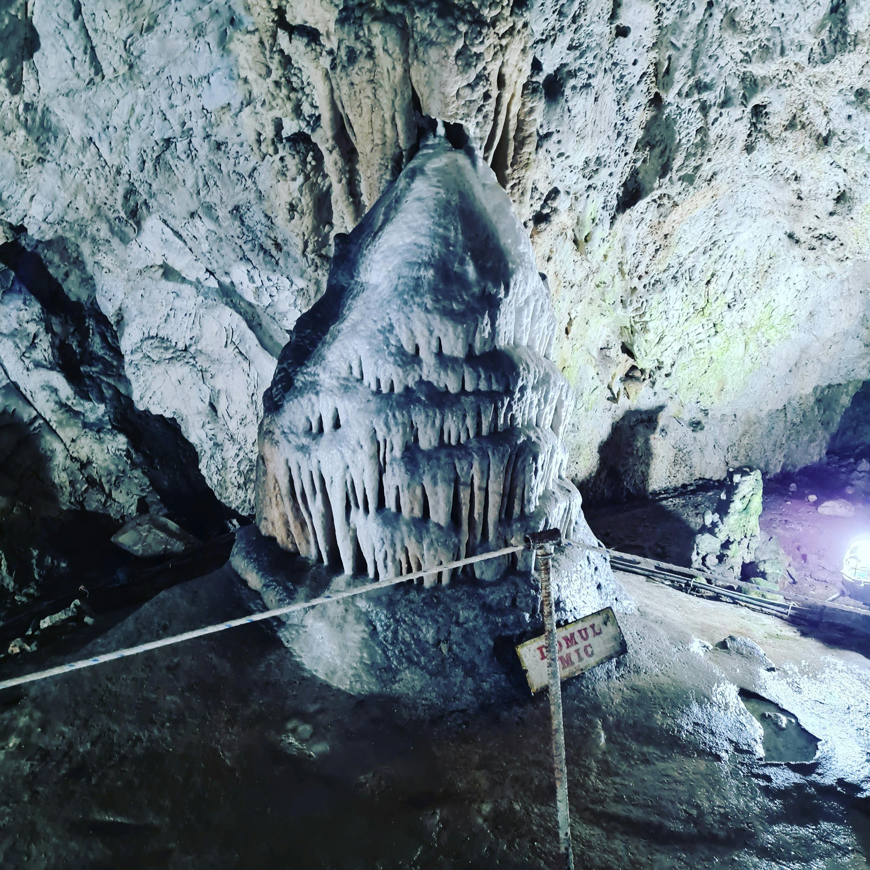 Florin Ivan - 사진