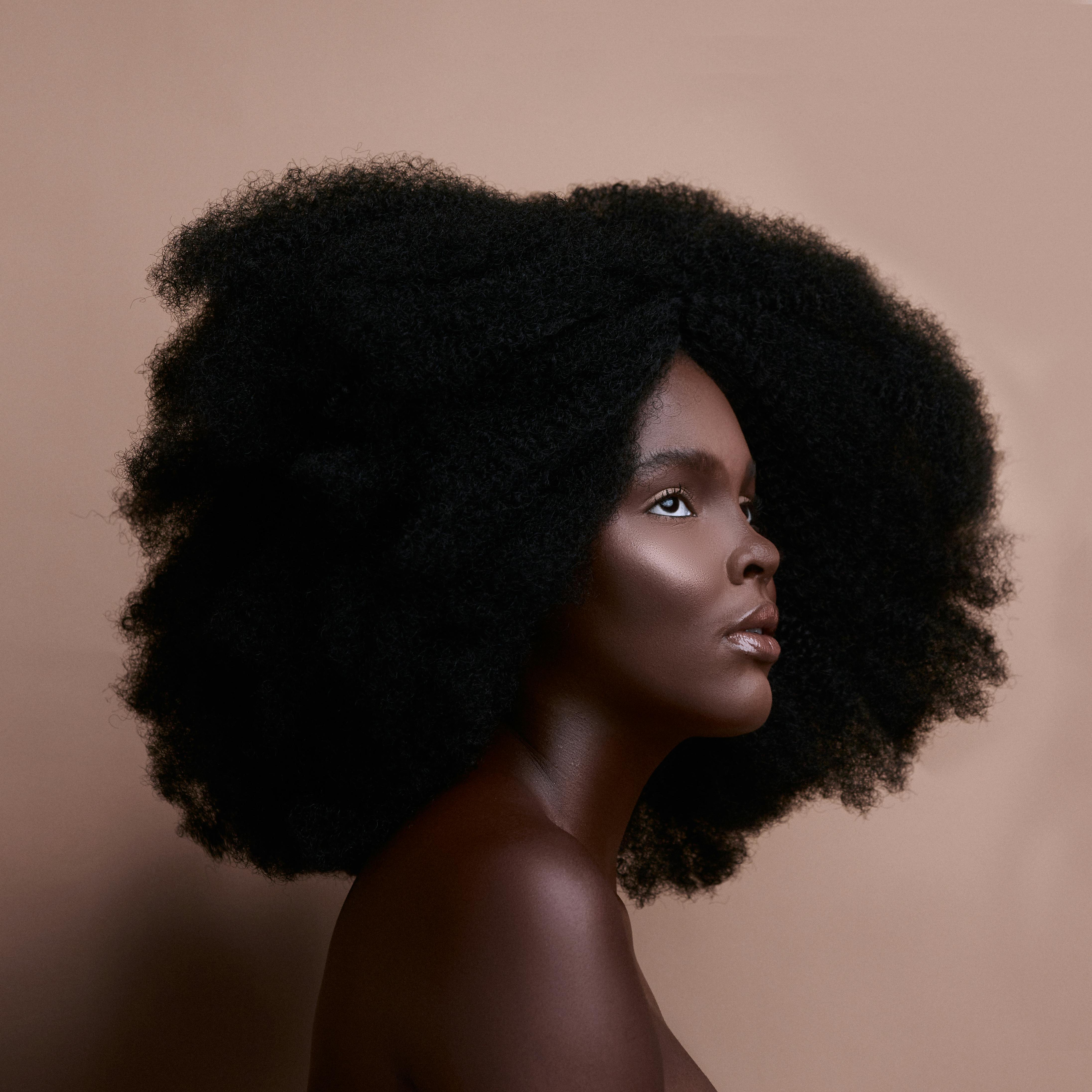 Photo of a Woman with Afro Hair · Free Stock Photo