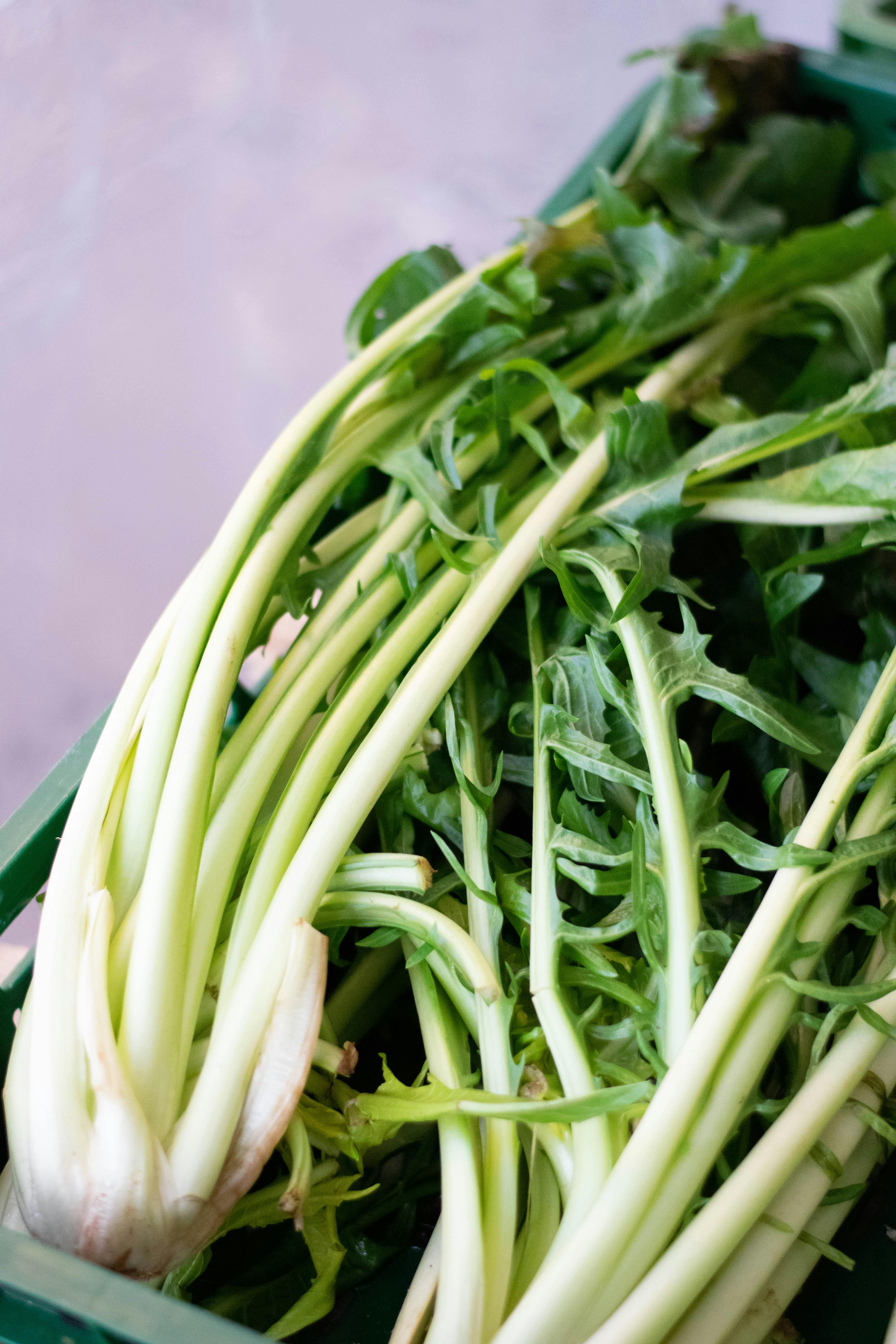 Close Up Shot of Green Vegetables · Free Stock Photo