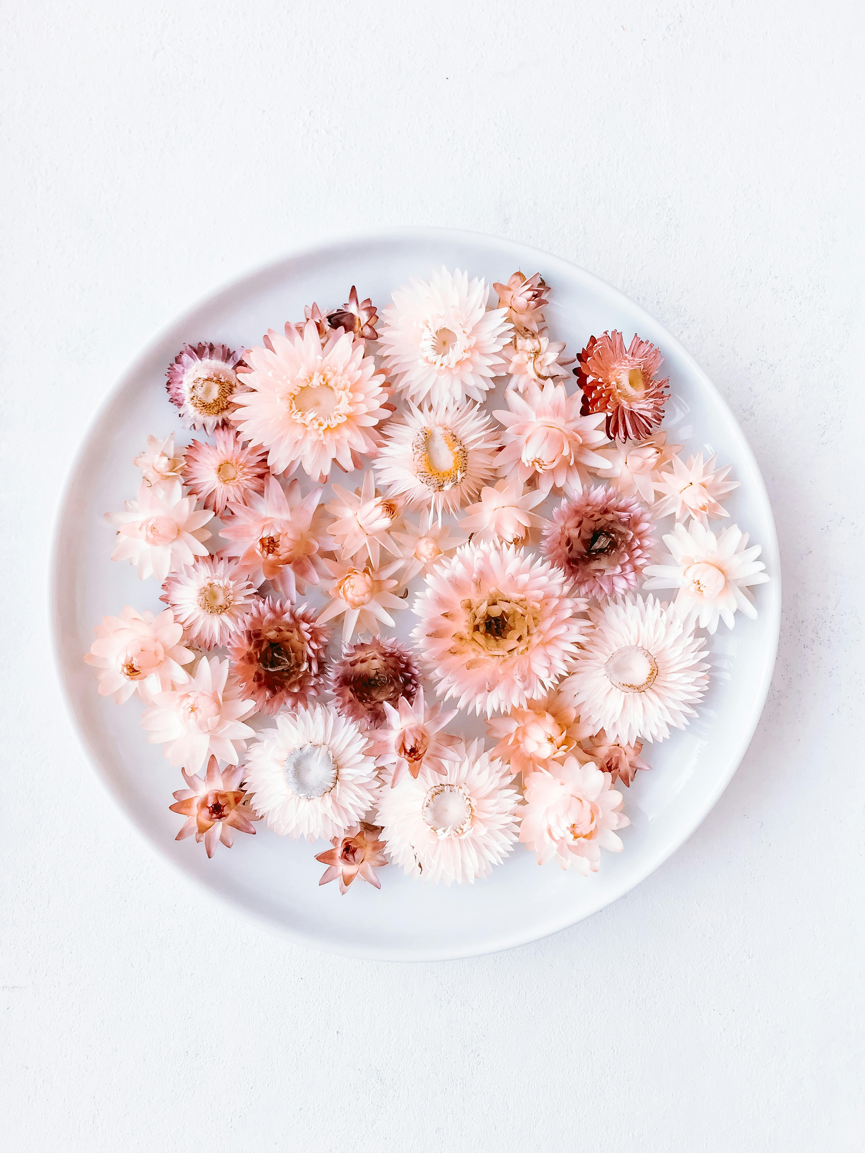 Composition of Flowers on a Plate · Free Stock Photo