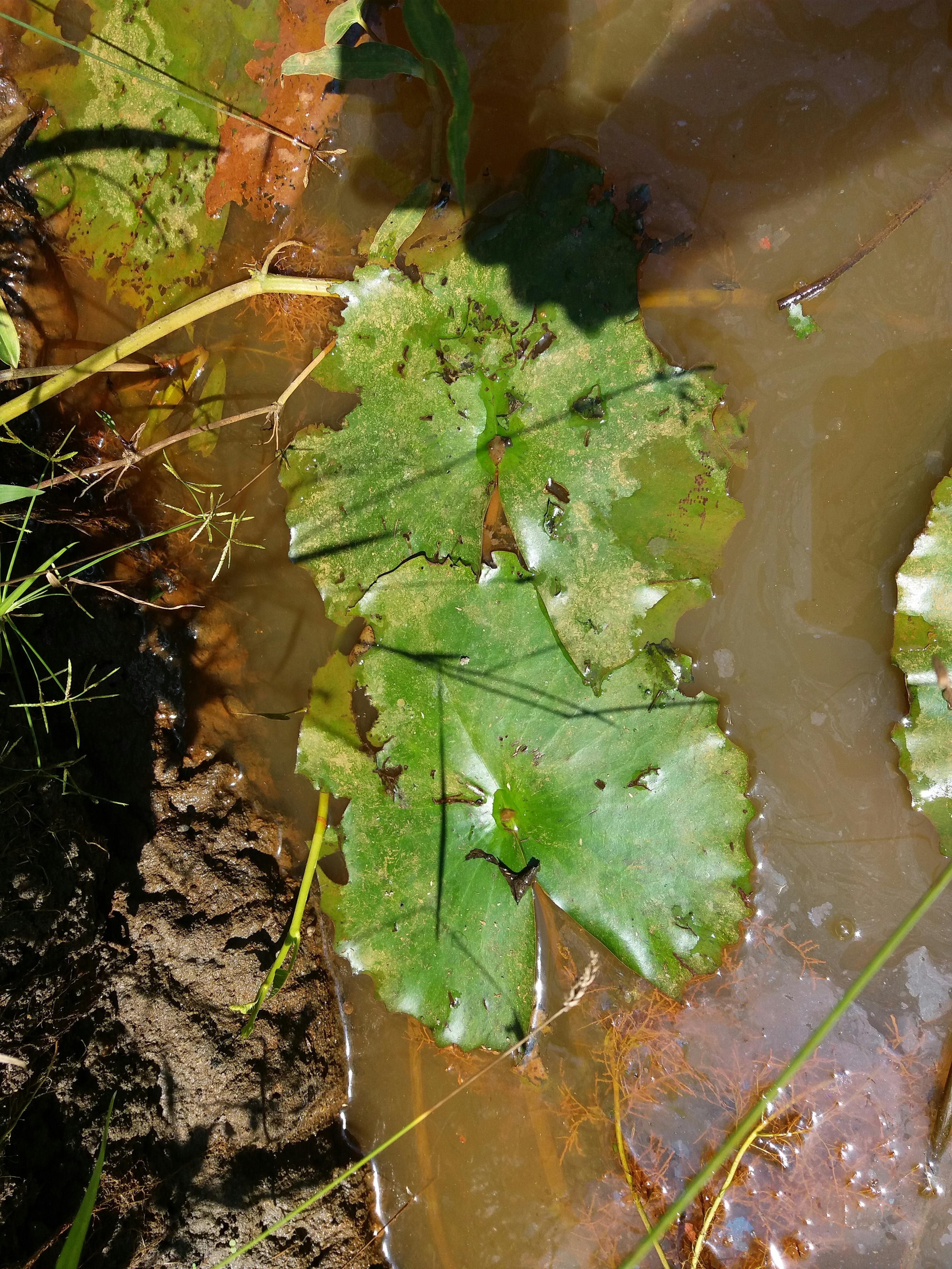 116+ Best Free Excellent Stock Photos & Images · 100% Royalty-Free HD ...