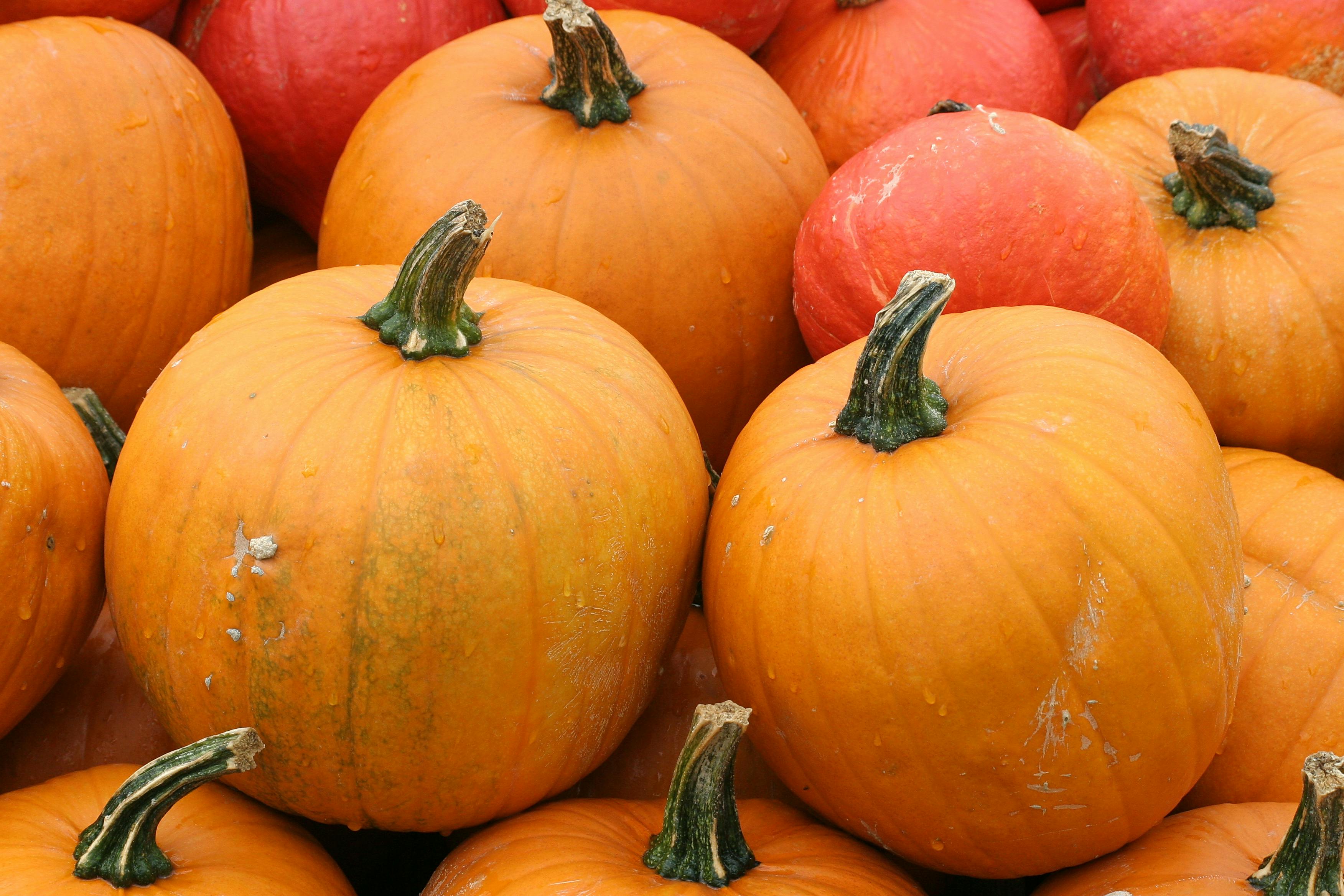 Orange Bucket on the Floor · Free Stock Photo