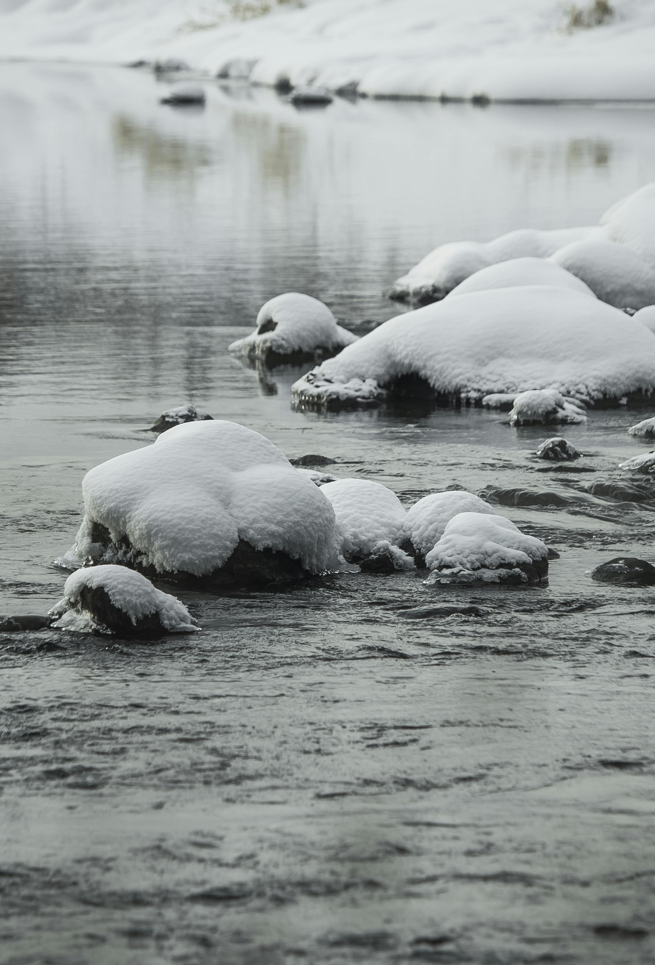 A Snow Covered Statue · Free Stock Photo
