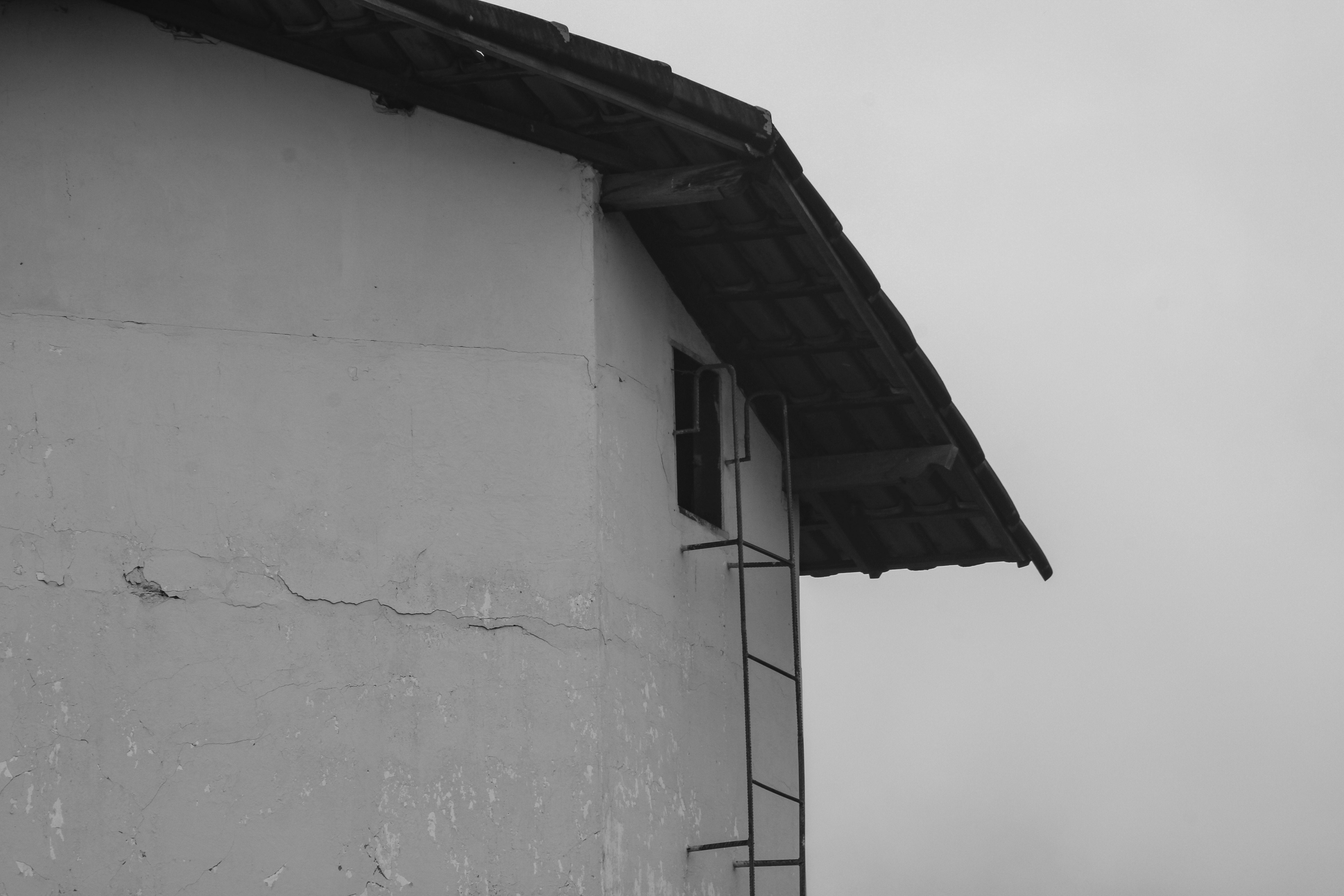 Rood Photos, Download The BEST Free Rood Stock Photos & HD Images