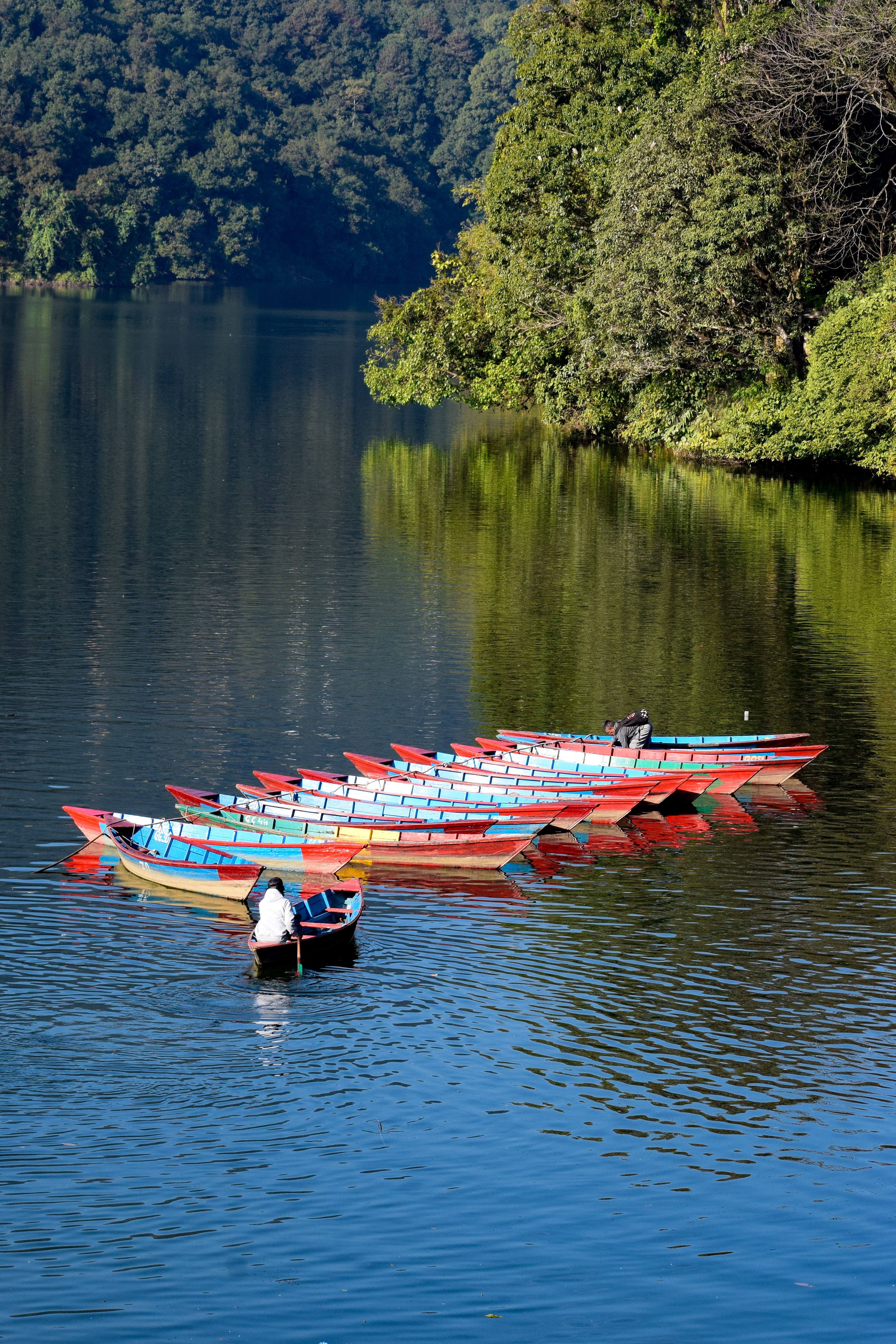 Boats on Body of Water · Free Stock Photo