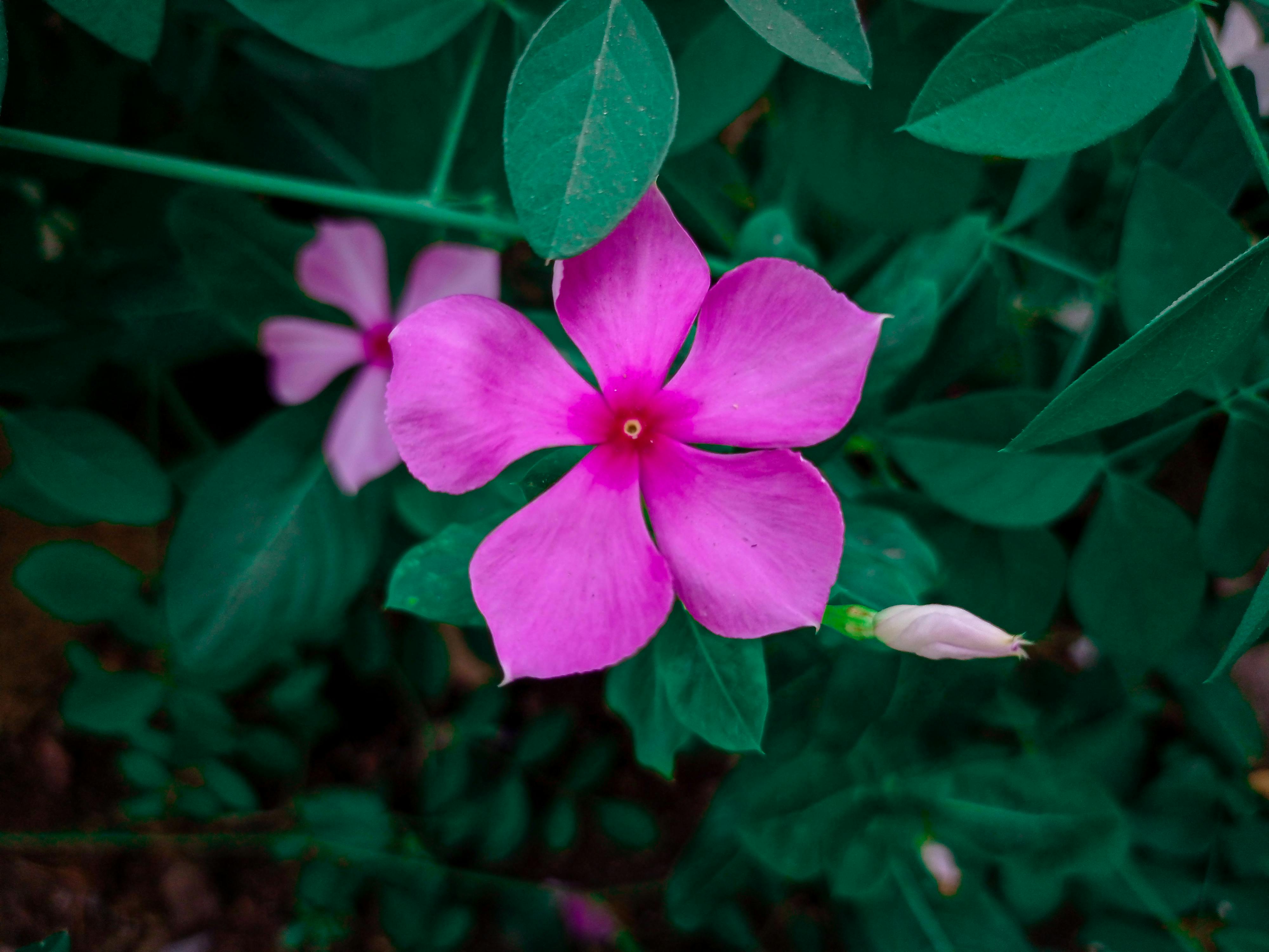 Patel Graphics - 摄影