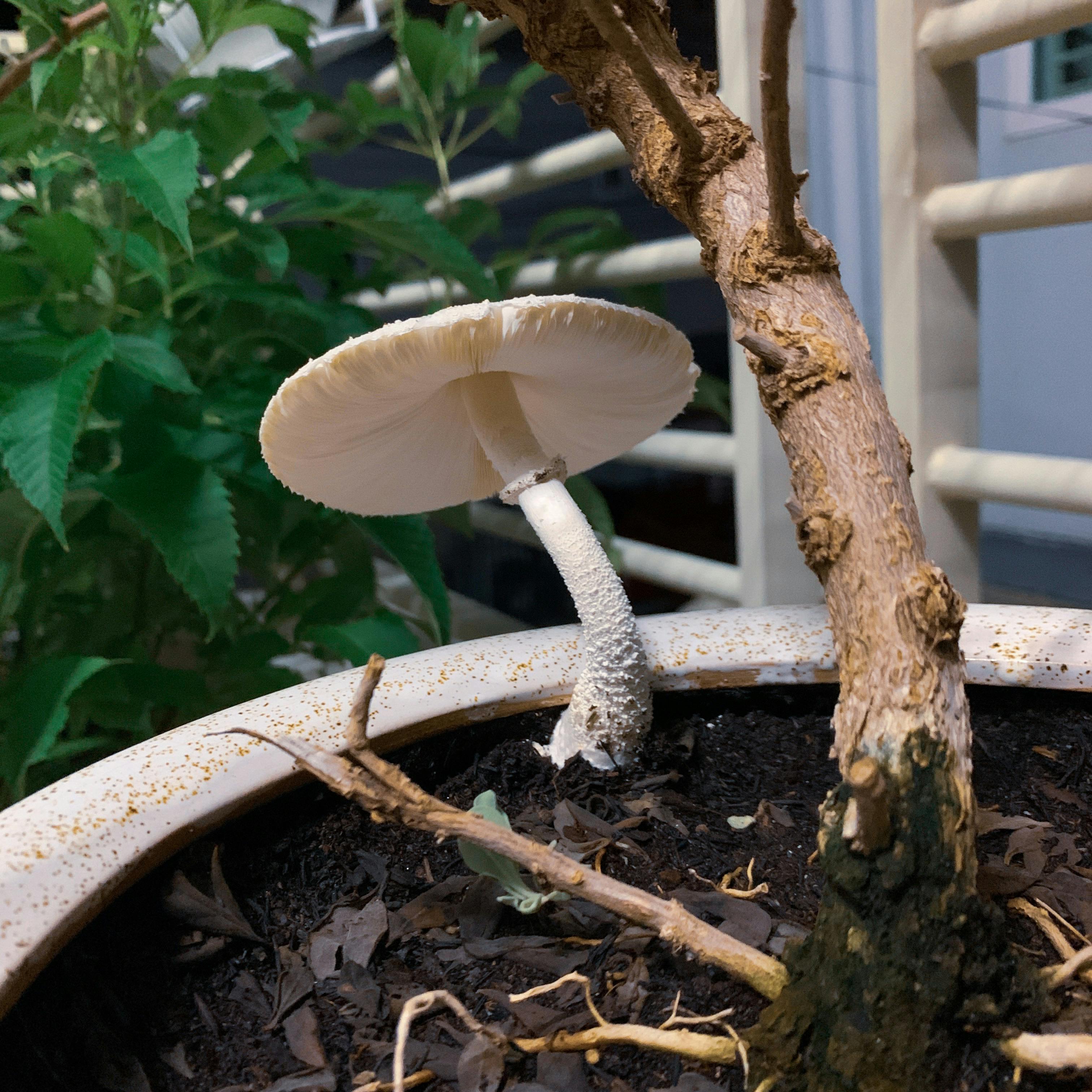 Lim Heng - Photography