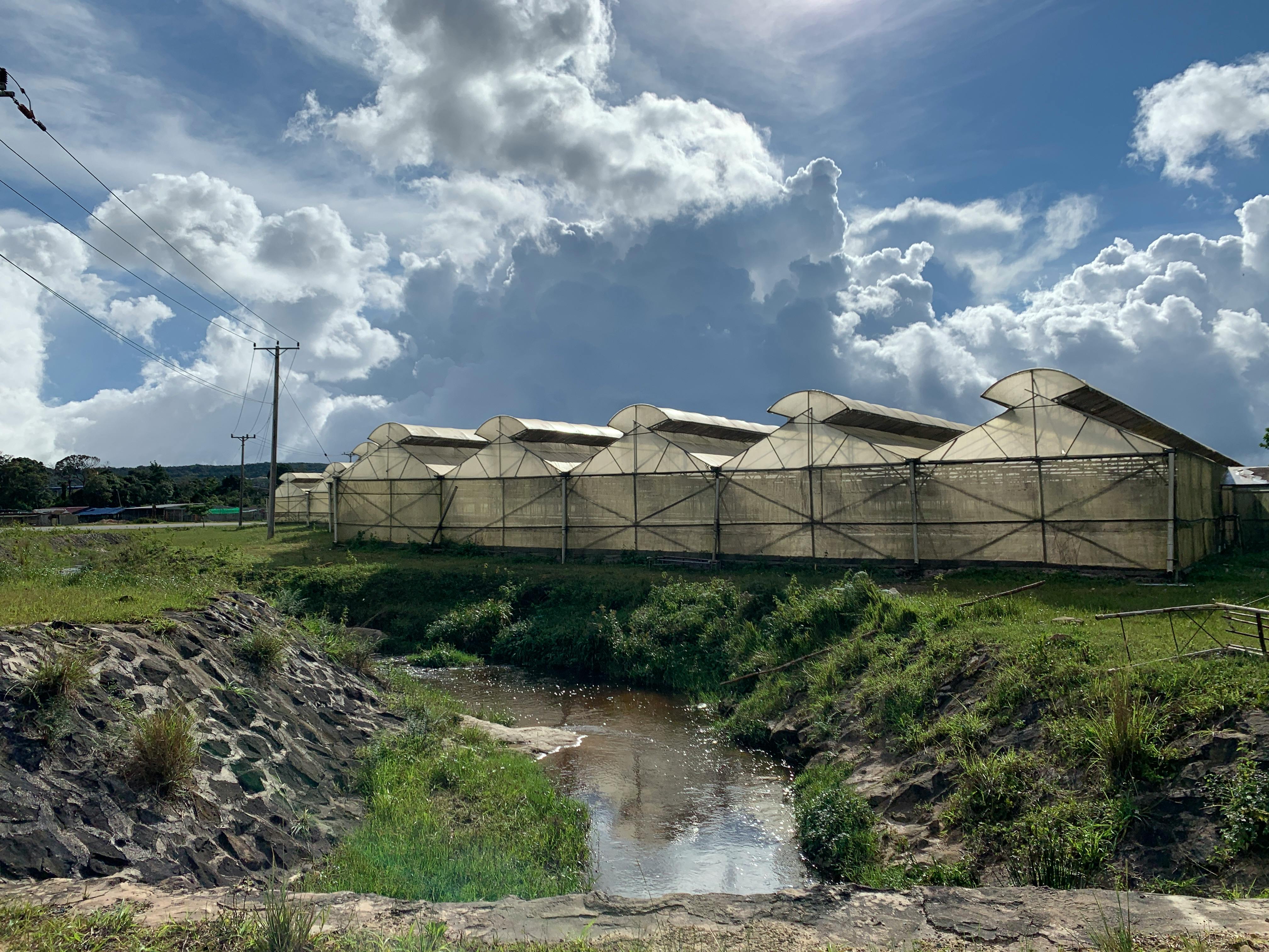 Lim Heng – fotografia