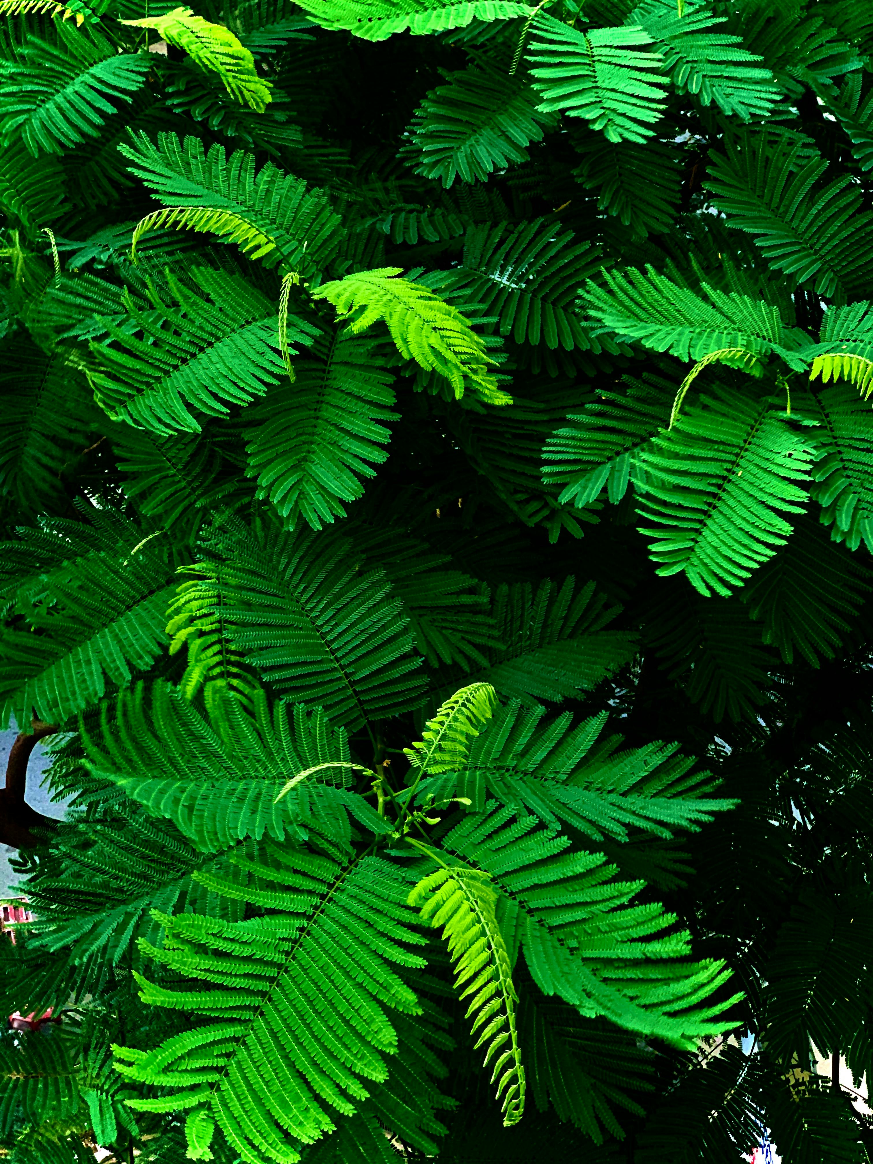 Lim Heng – fotografia