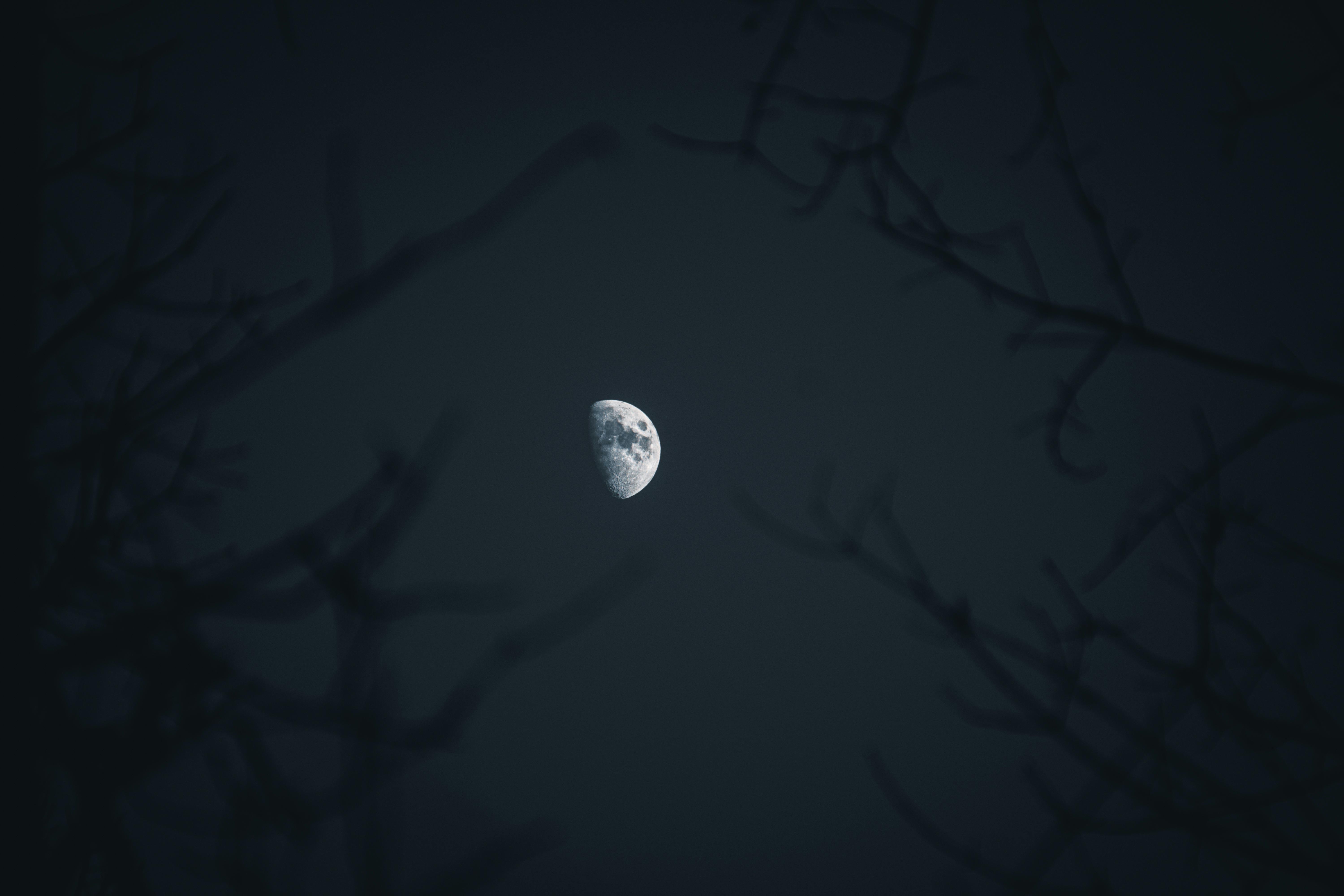 A Half-Moon in the Night Sky · Free Stock Photo