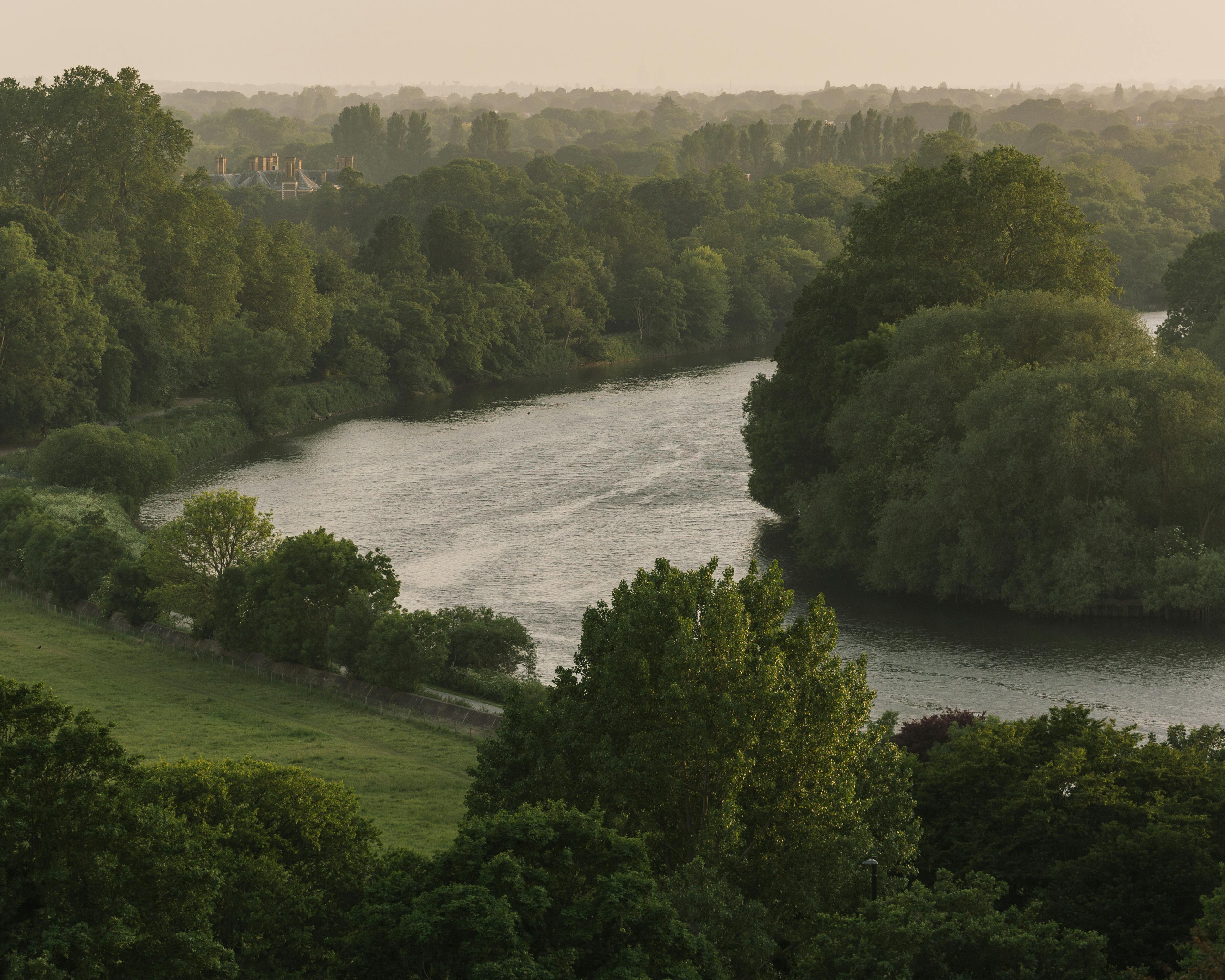 Photo of River Between Trees · Free Stock Photo