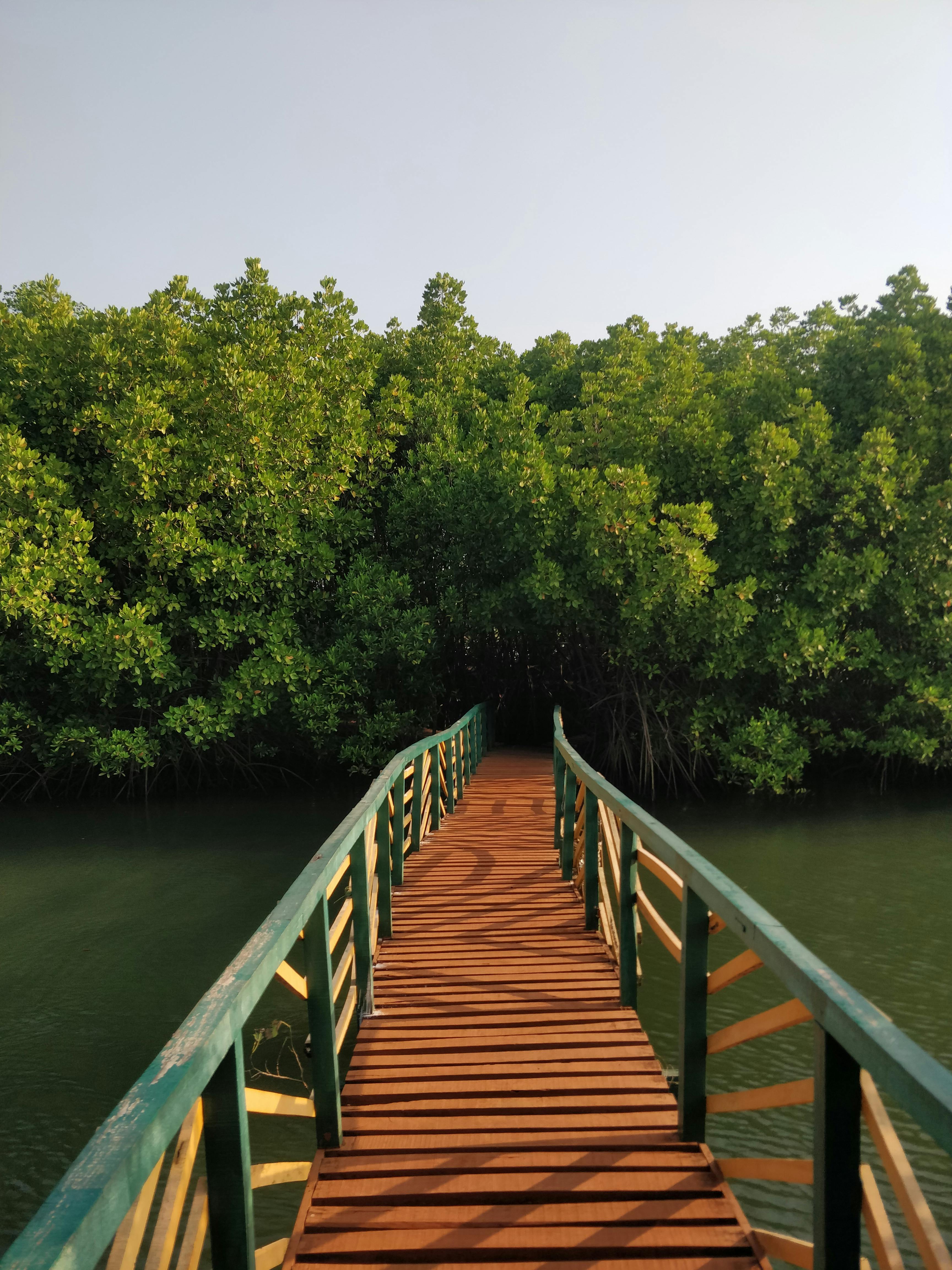 Keerthi Kumar - Photography