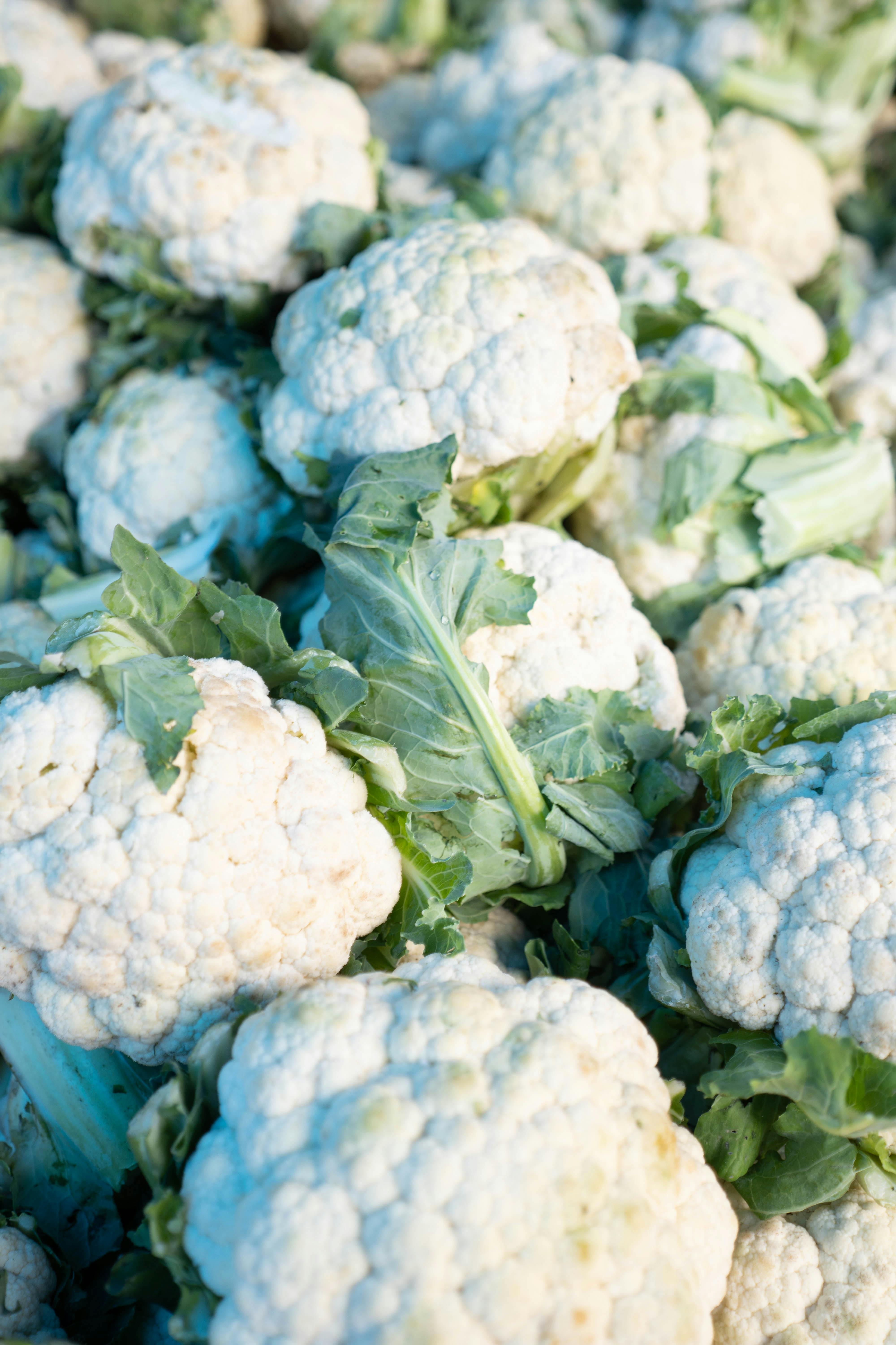 Close Up Shot of Cauliflower · Free Stock Photo