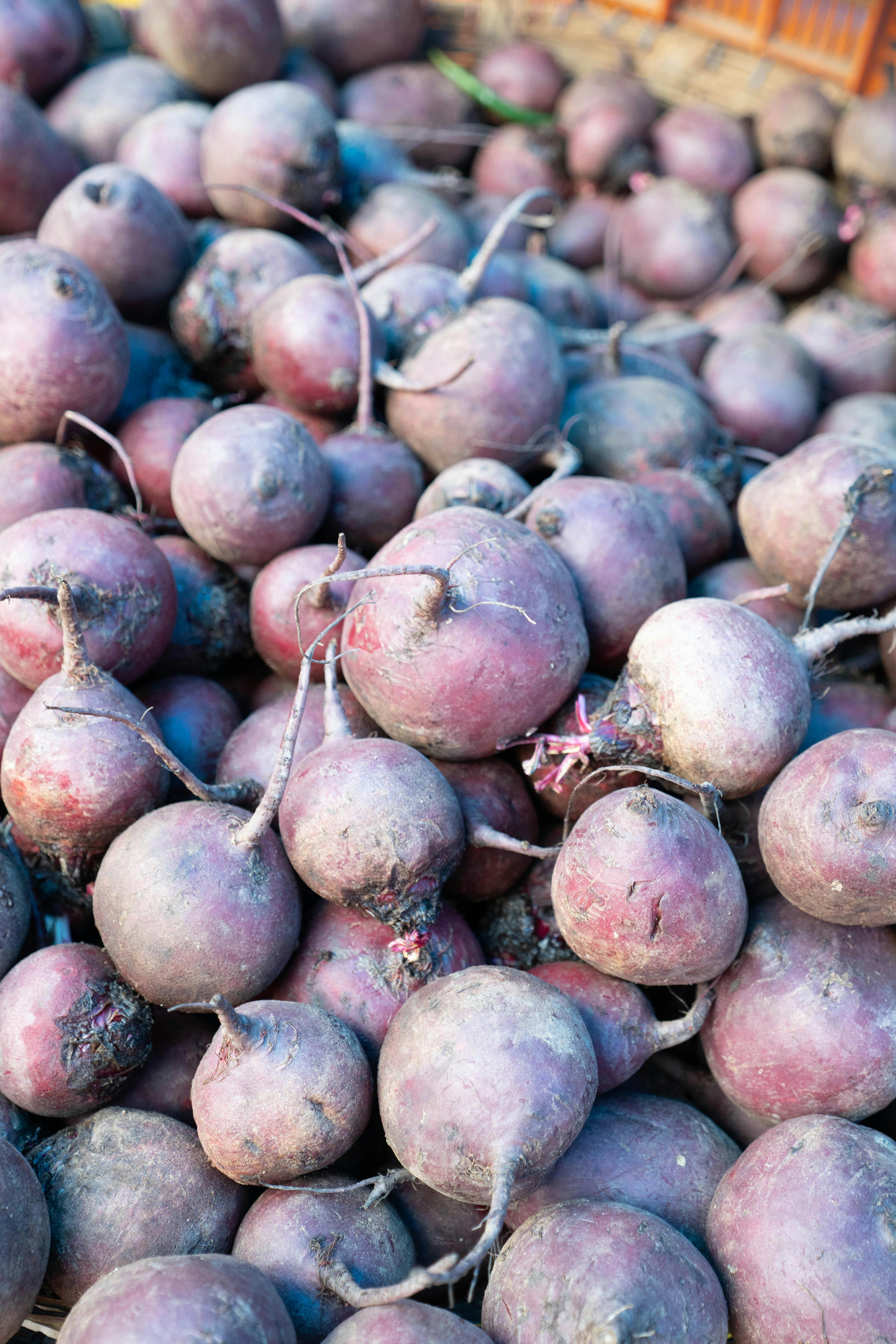 Close-Up Shot of Beetroots · Free Stock Photo