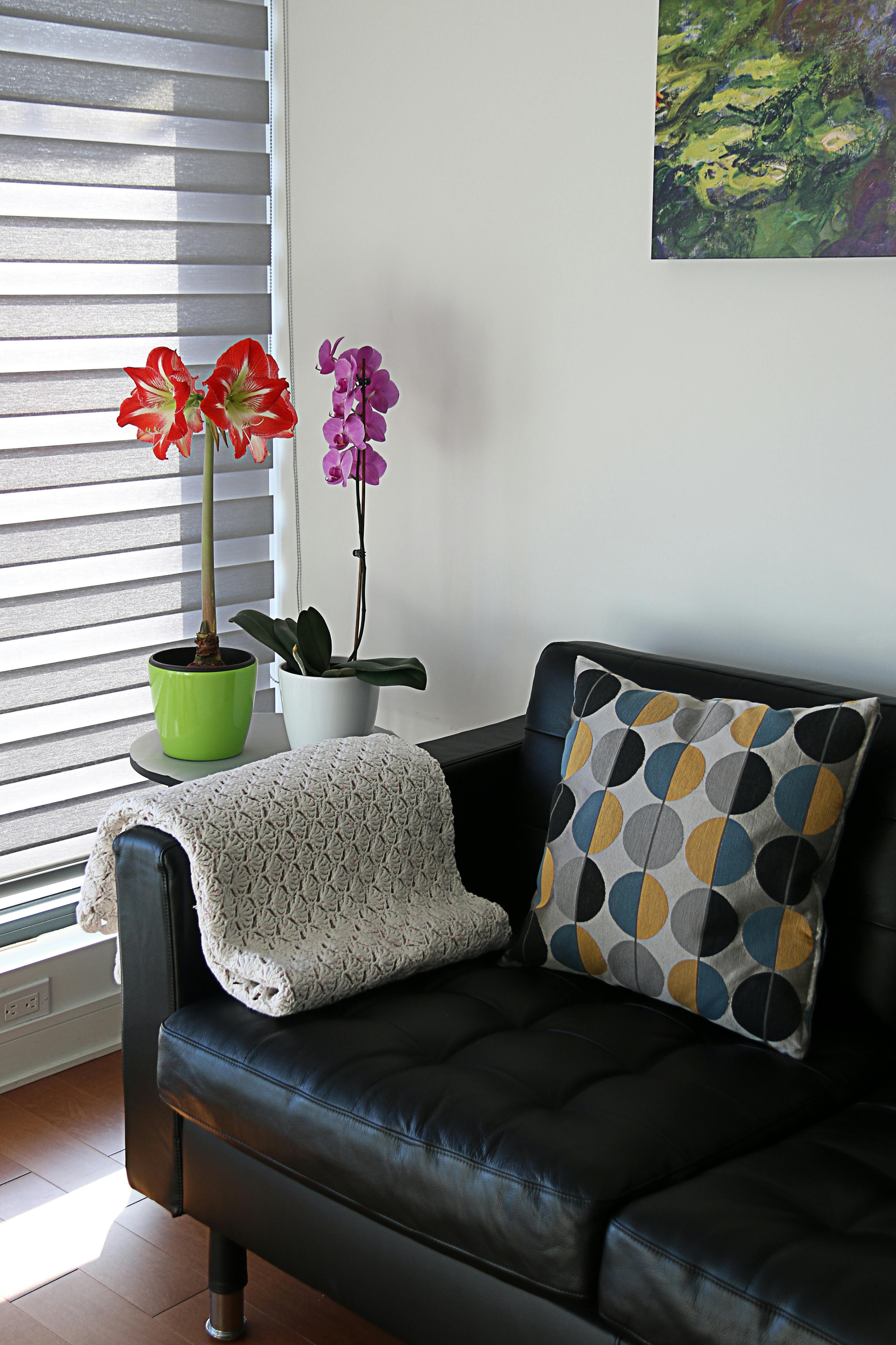 10+ Best Livingroom Photos · 100% Free Download · Pexels Stock Photos