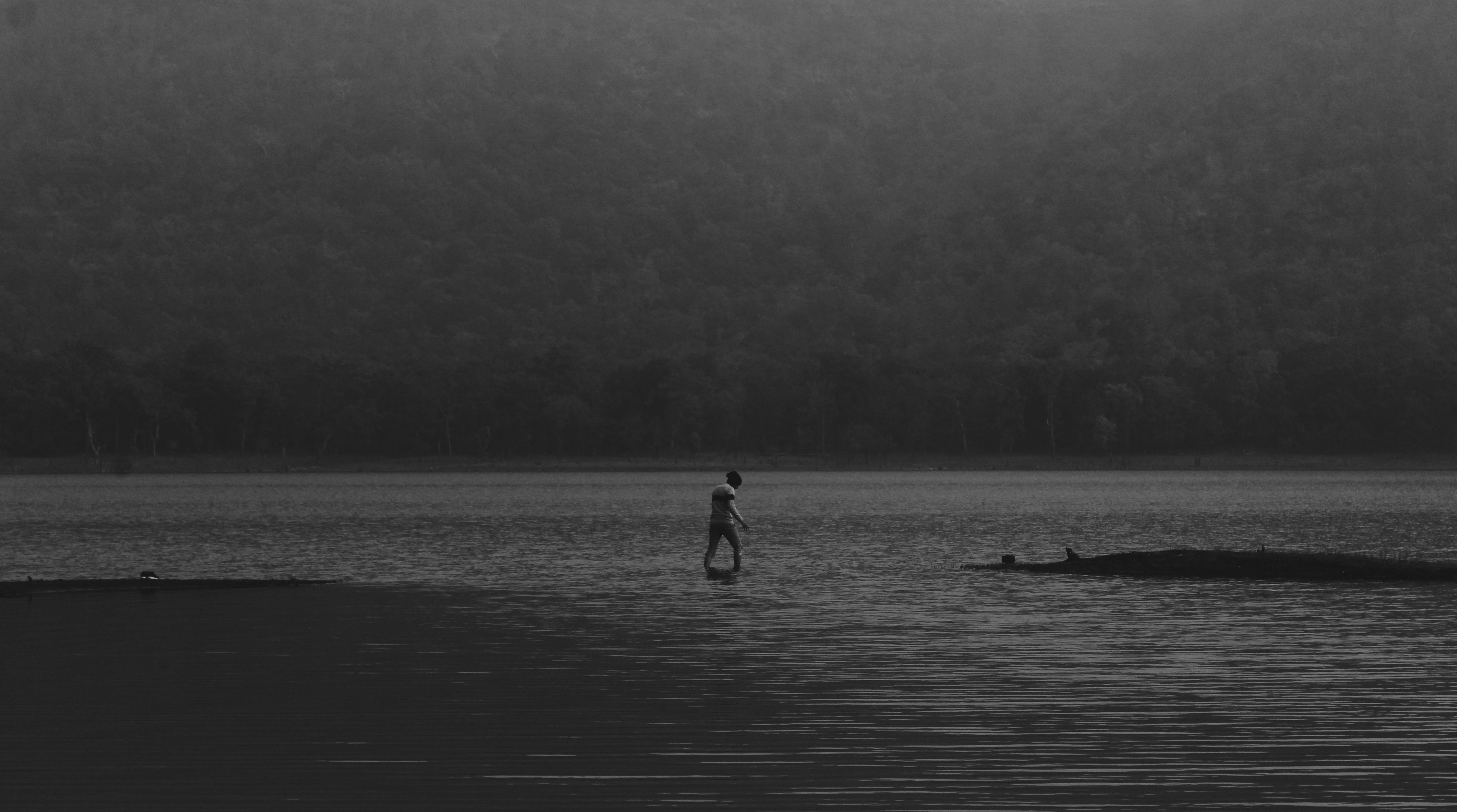 Person Standing on a Brown Wood Log Floating on a Body of Water · Free ...
