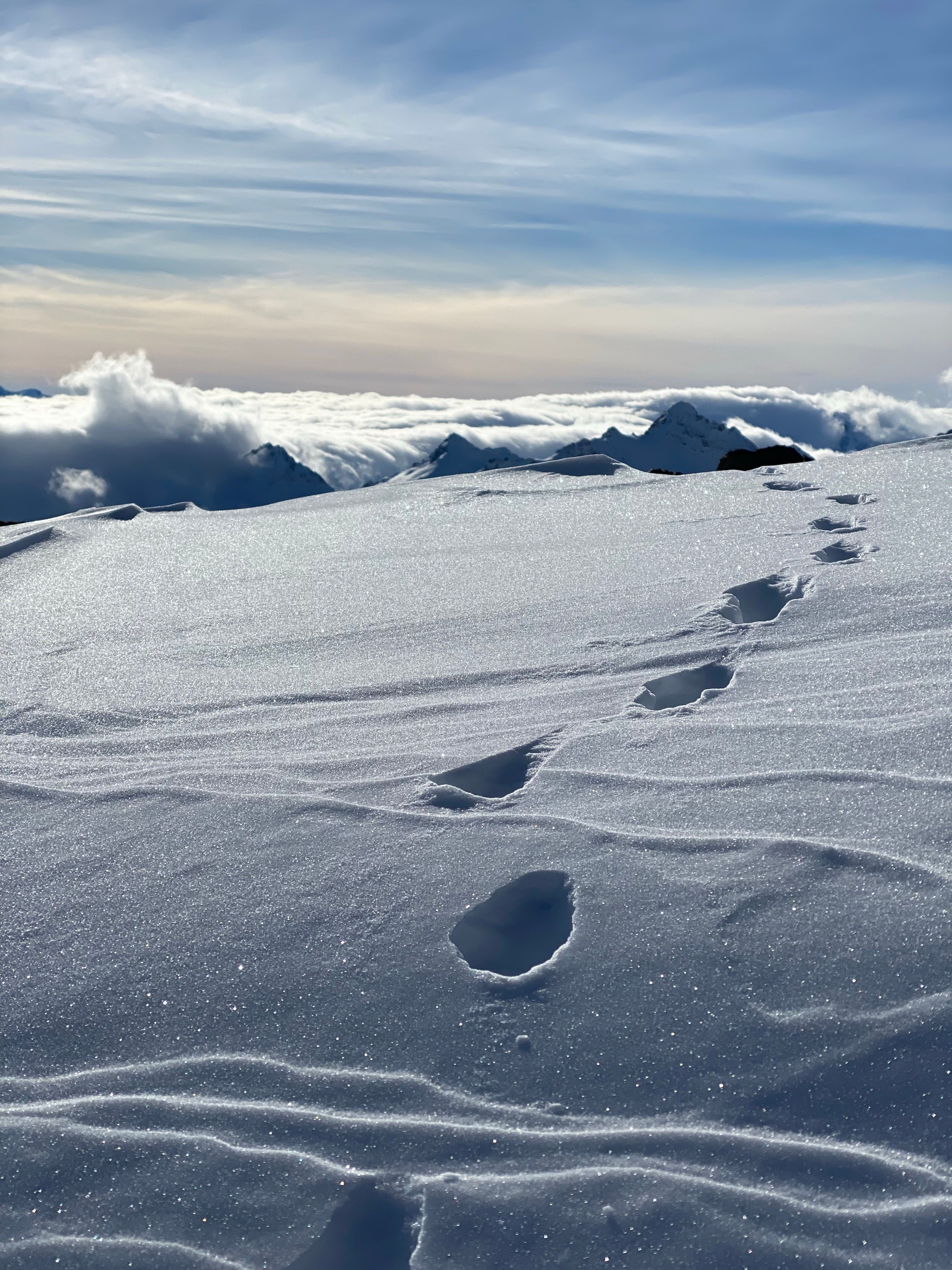 Footprints in Snow · Free Stock Photo