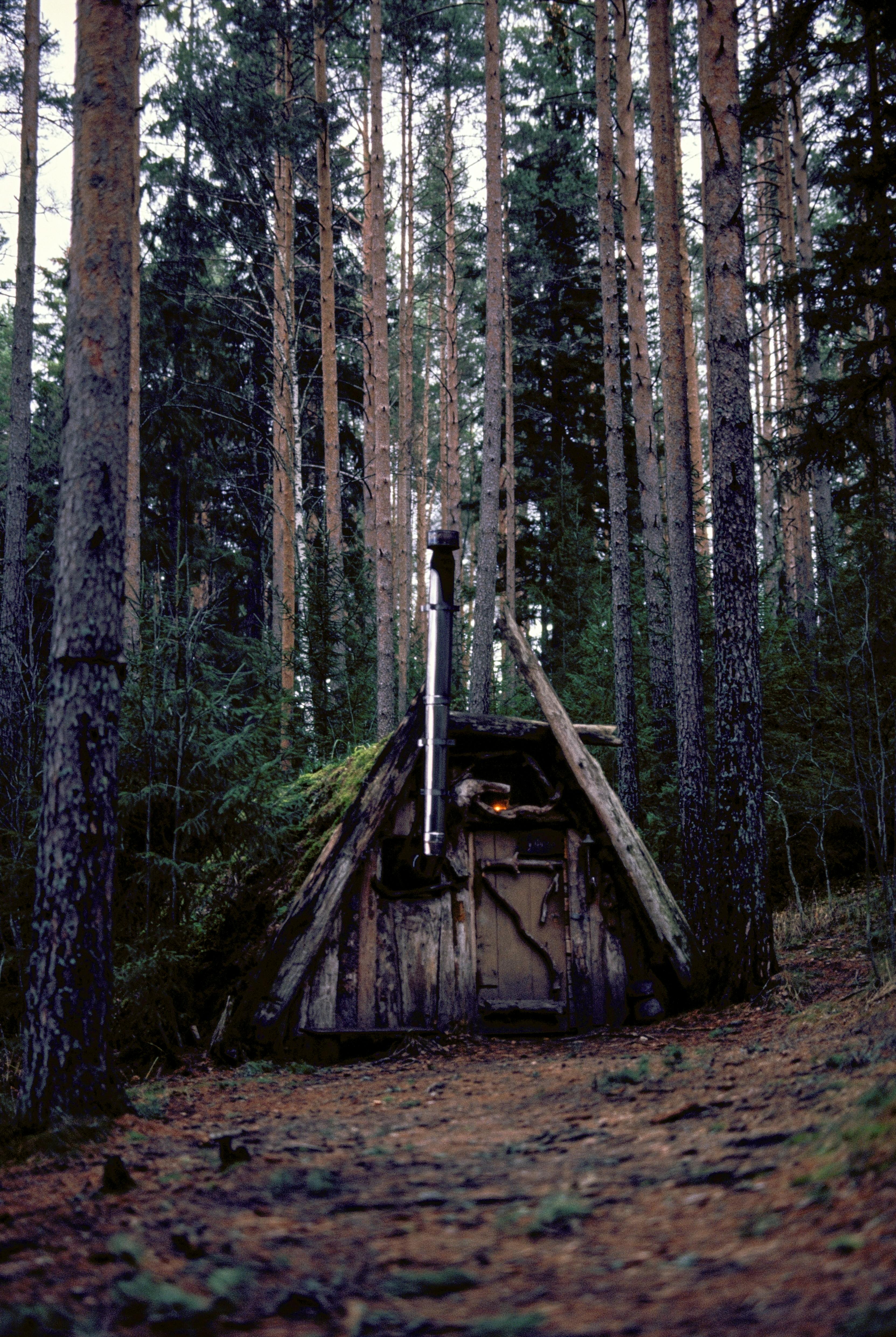 Brown Wooden Triangular House in the Woods · Free Stock Photo