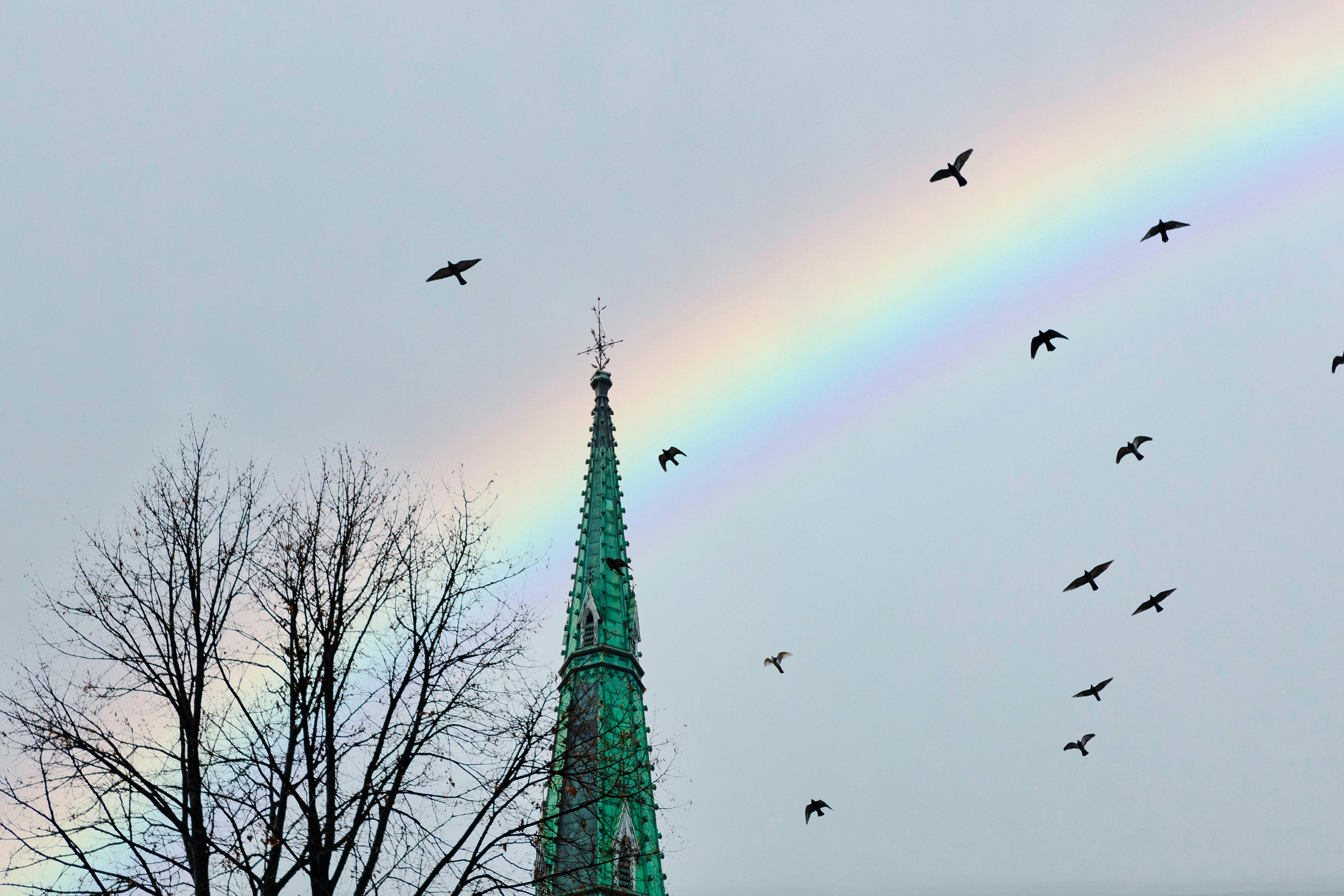 Birds Flying Near the Green Tower · Free Stock Photo